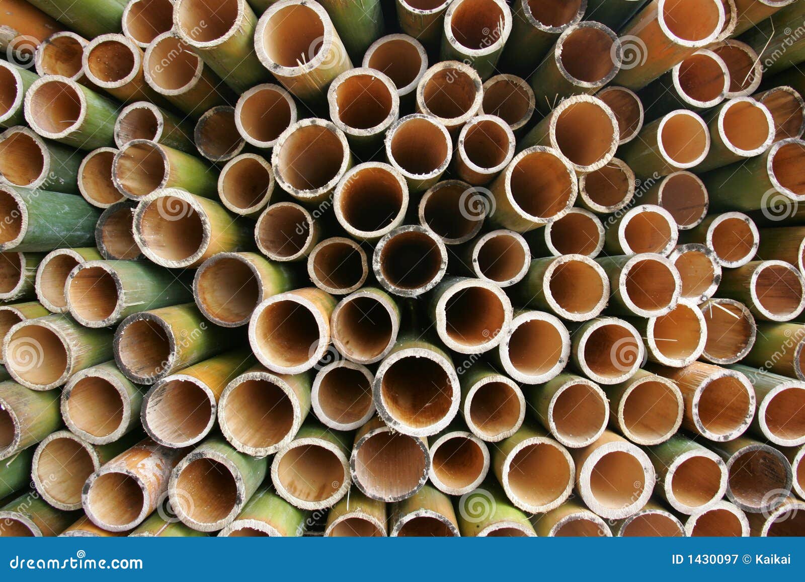 Bamboo stock image. Image of stalk, greens, garden, green - 1430097