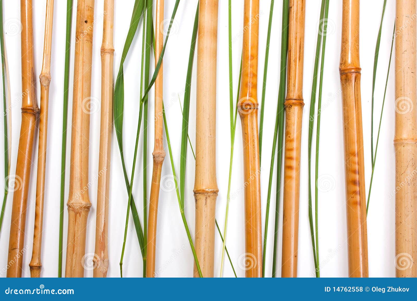 Bamboo stock photo. Image of sticks, background, isolated - 14762558