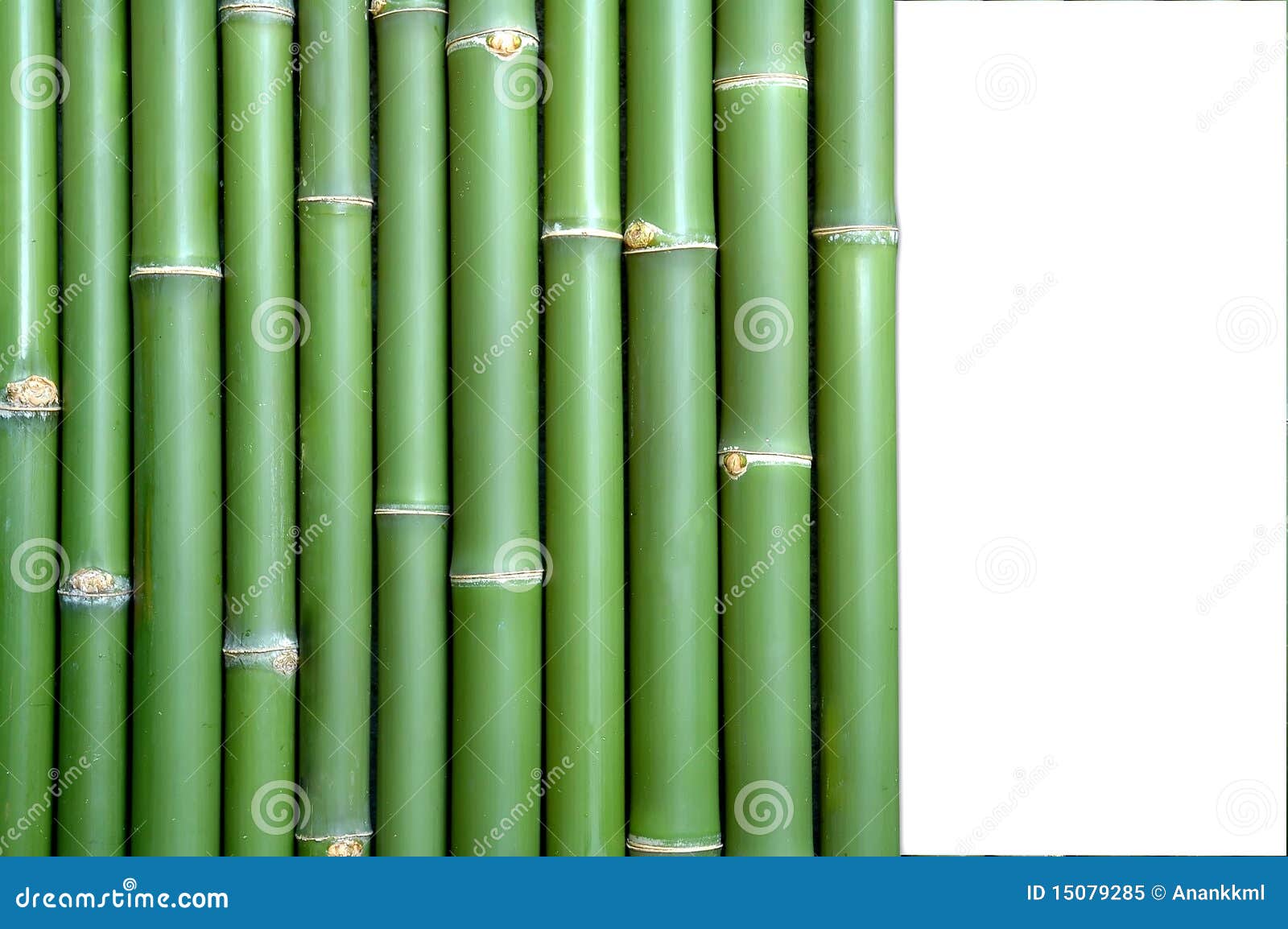 Bamboo stock image. Image of abstract, nature, grass - 15079285