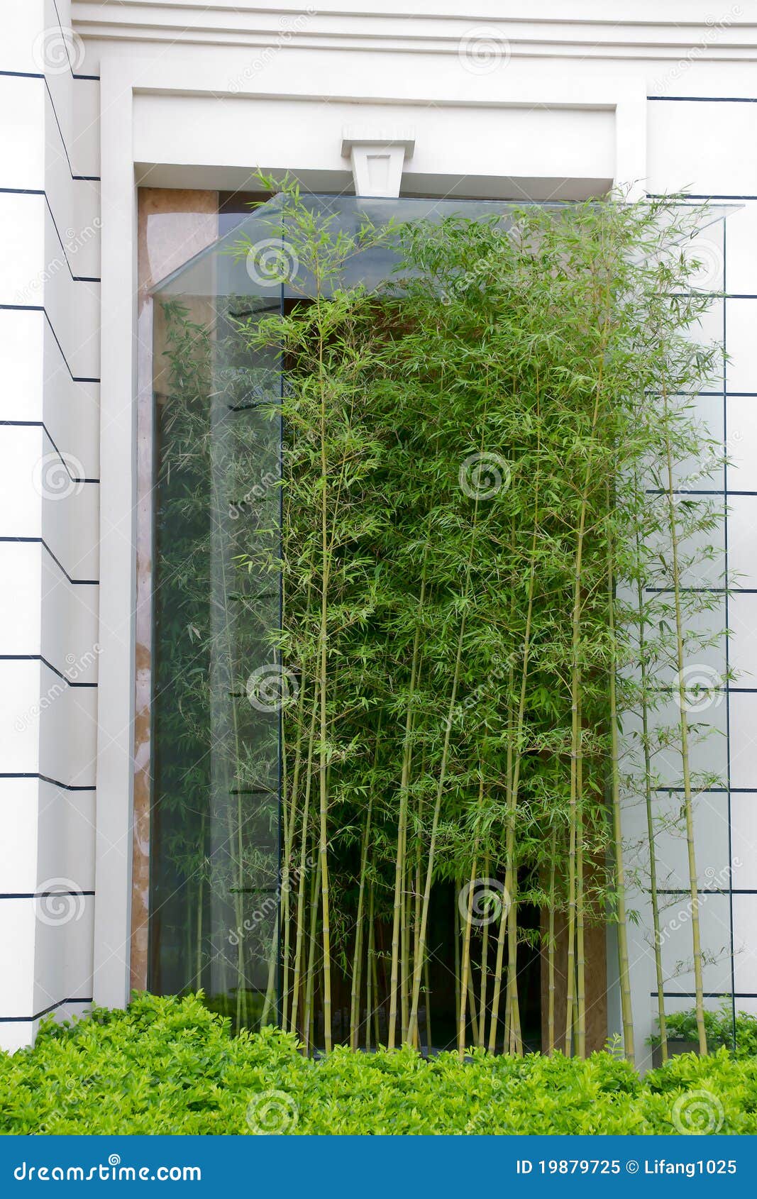 106 Backgrounds Form Bamboo Photos - Free & Royalty-Free Stock Photos ...