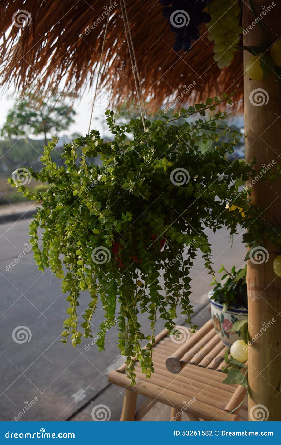Bamboo arch stock photo. Image of bamboochairs, straw - 53261582
