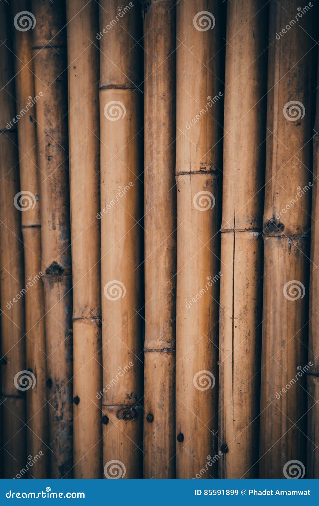Bamboo stock image. Image of nature, wood, texture, tree - 85591899
