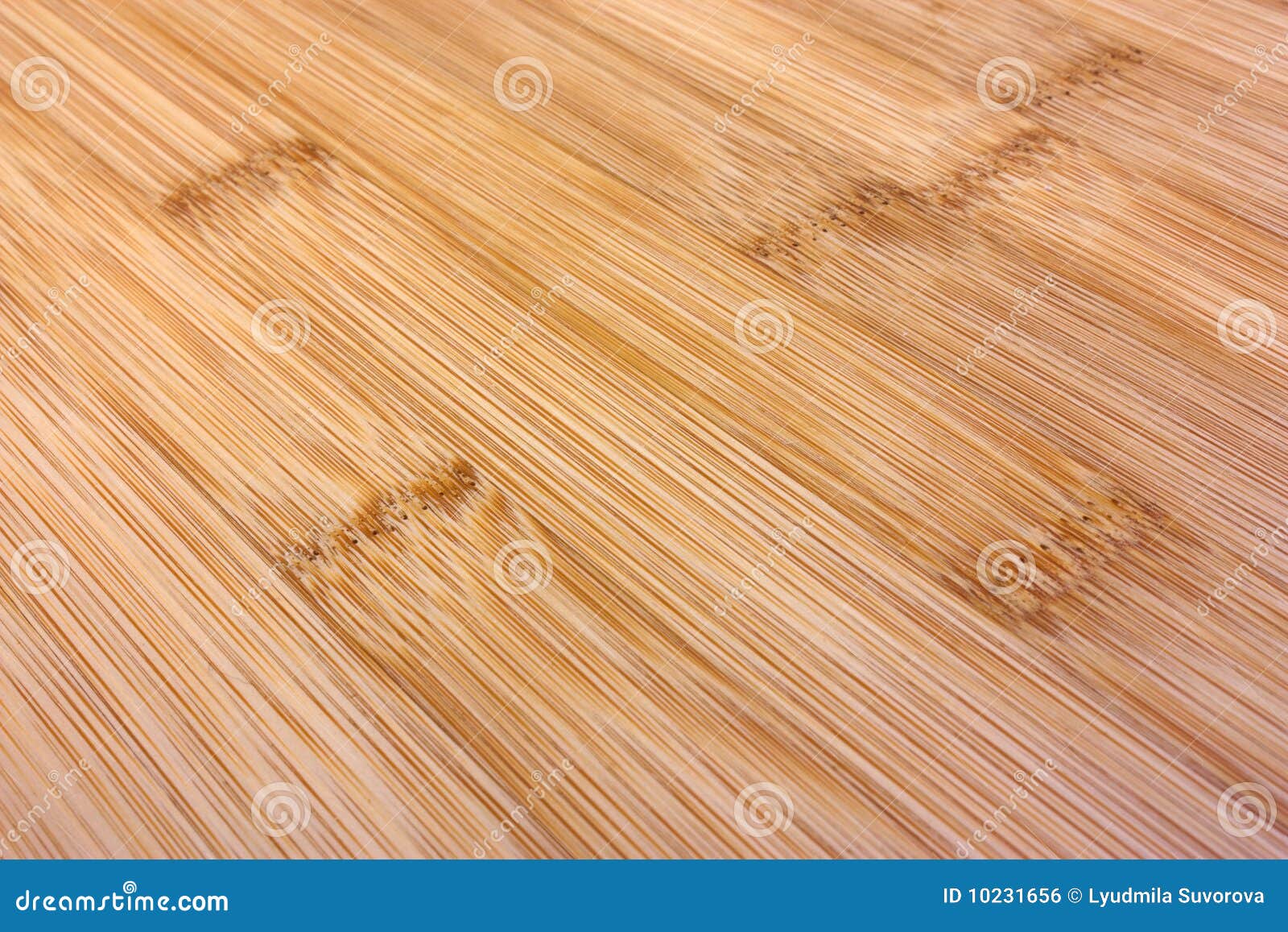 Linear Bamboo House Vector Mesh Royalty-Free Stock Image ...