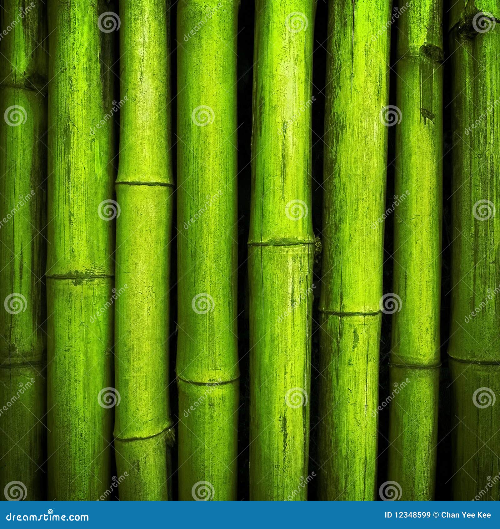 Bamboo background stock image. Image of abstract, culture - 12348599
