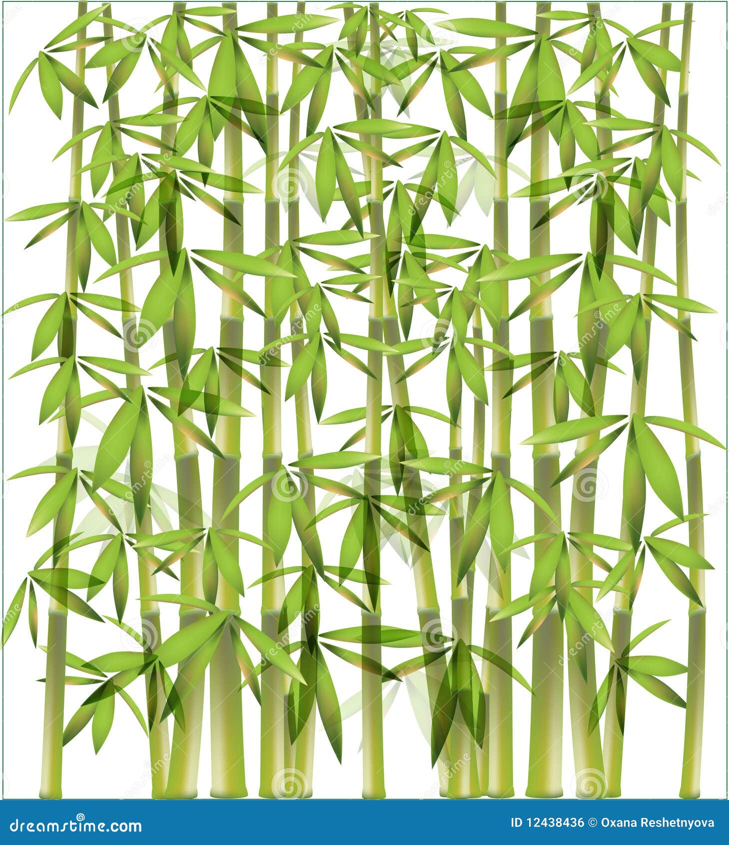 Bamboo Background Hand Drawing Engraving Style Vector Illustration ...