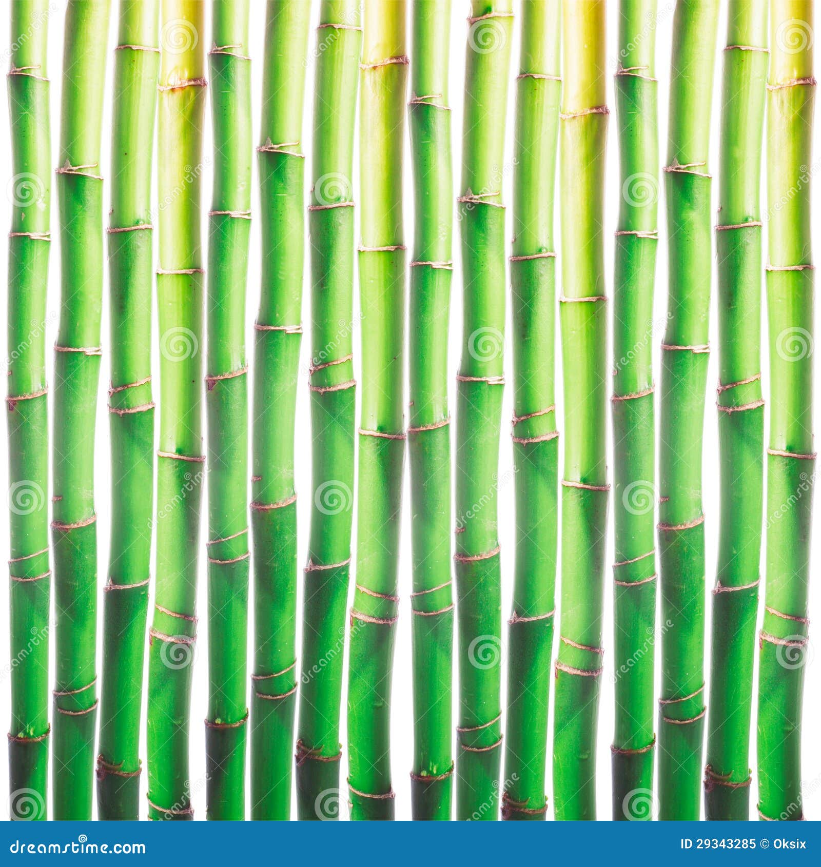 Bamboo background stock image. Image of backdrop, lush - 29343285