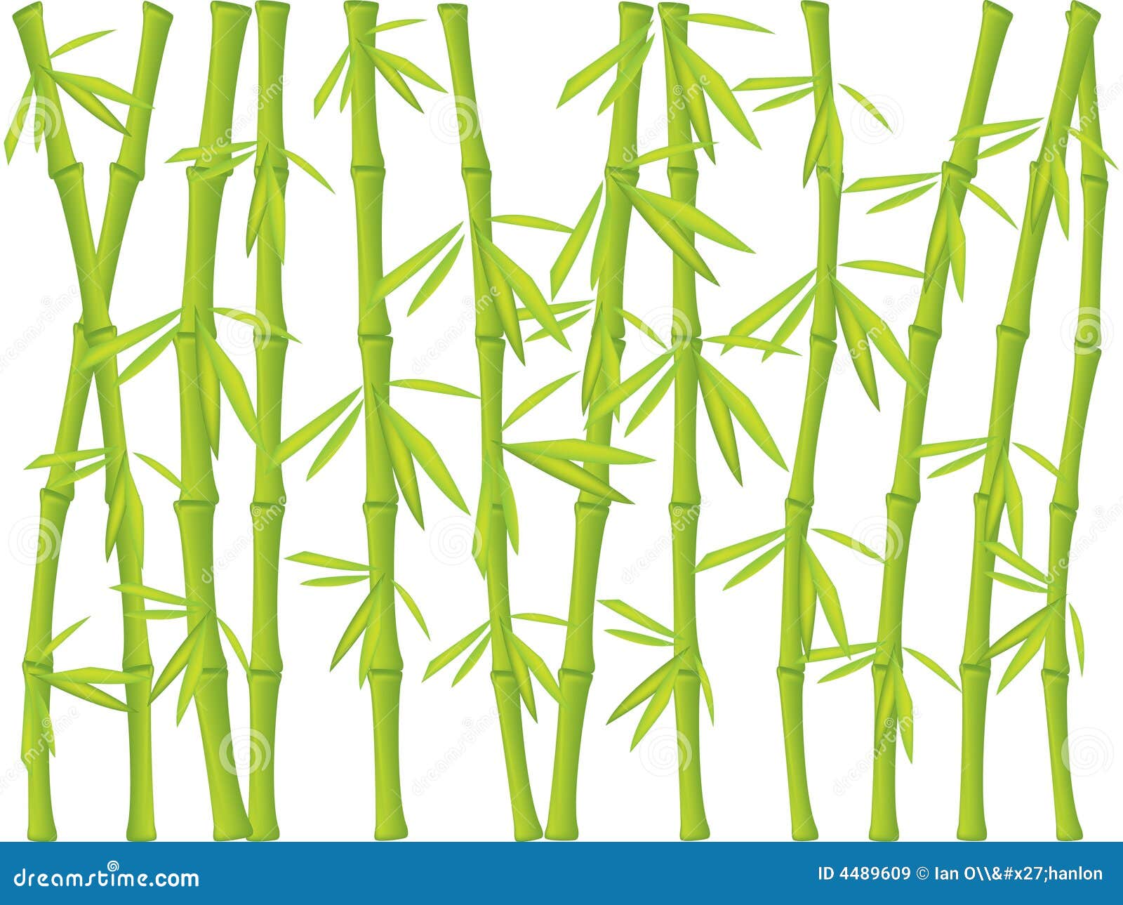 Bamboo background stock vector. Illustration of vector - 4489609