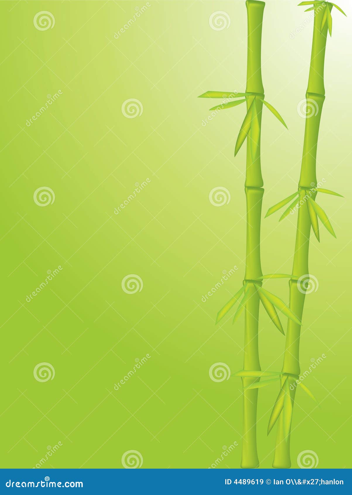 Bamboo Background Japanese Asian Plant Wallpaper Grass. Bamboo Tree ...