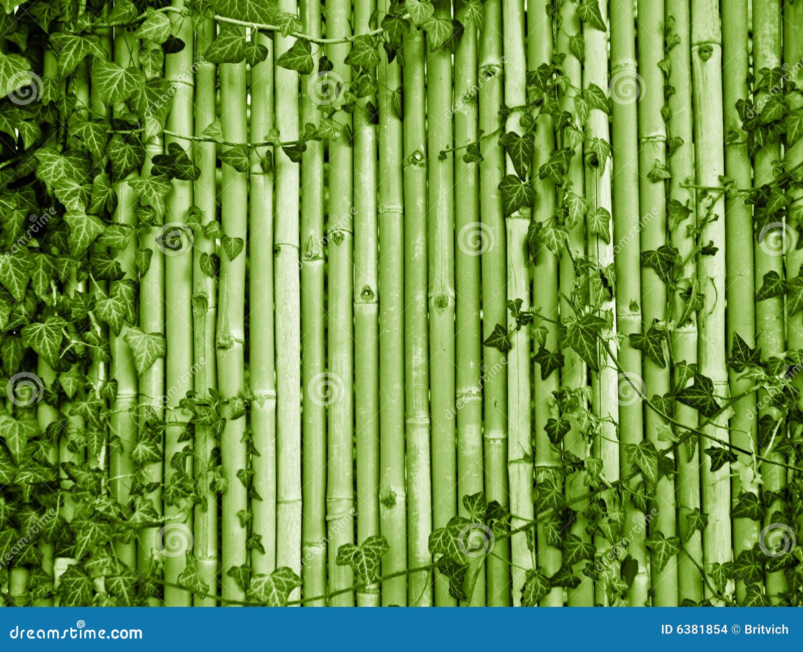 Bamboo background stock photo. Image of backdrop, fashioned - 6381854