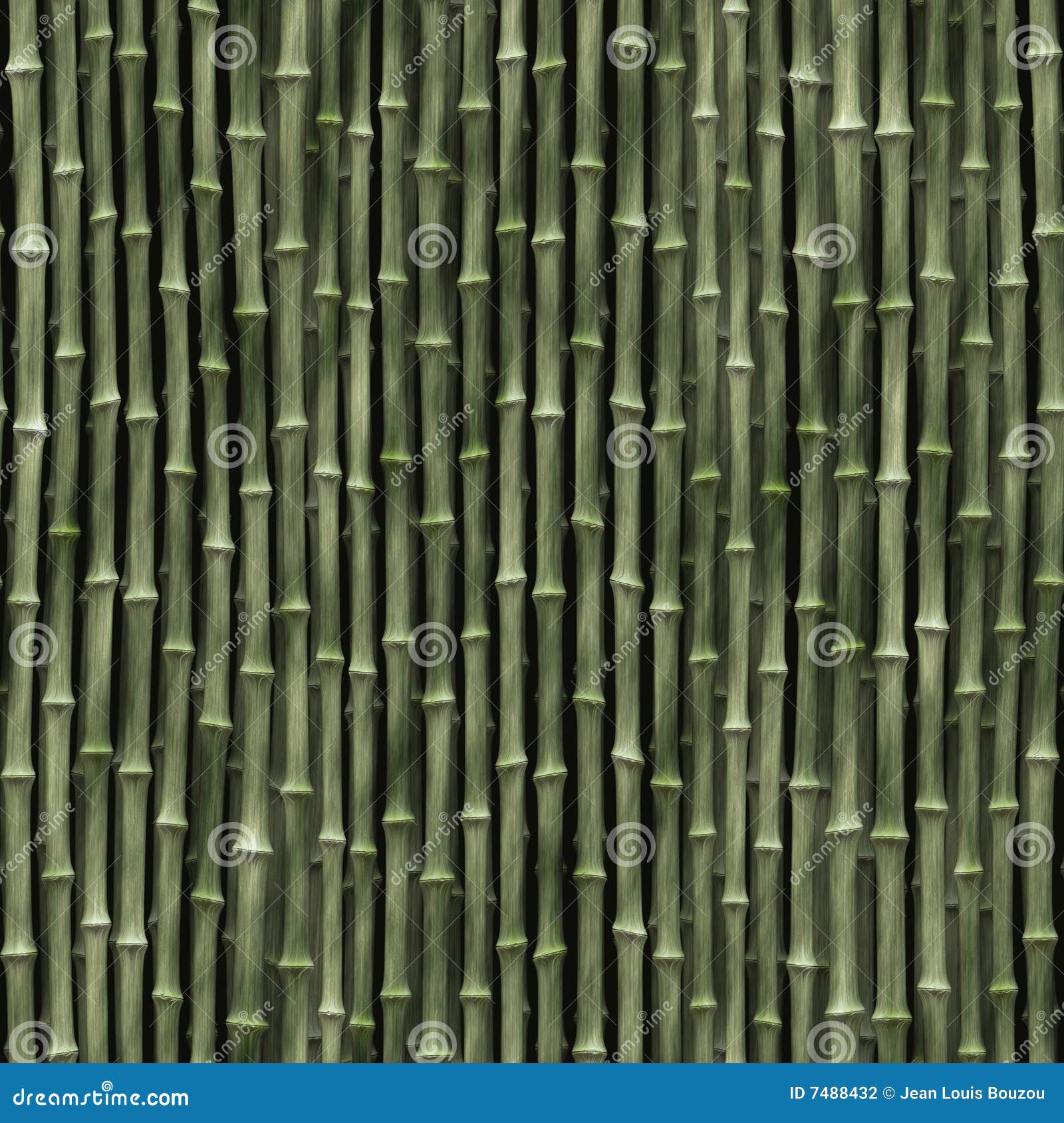 Bamboo Background. Green Bamboo Rainforest Stems, Asian Nature ...