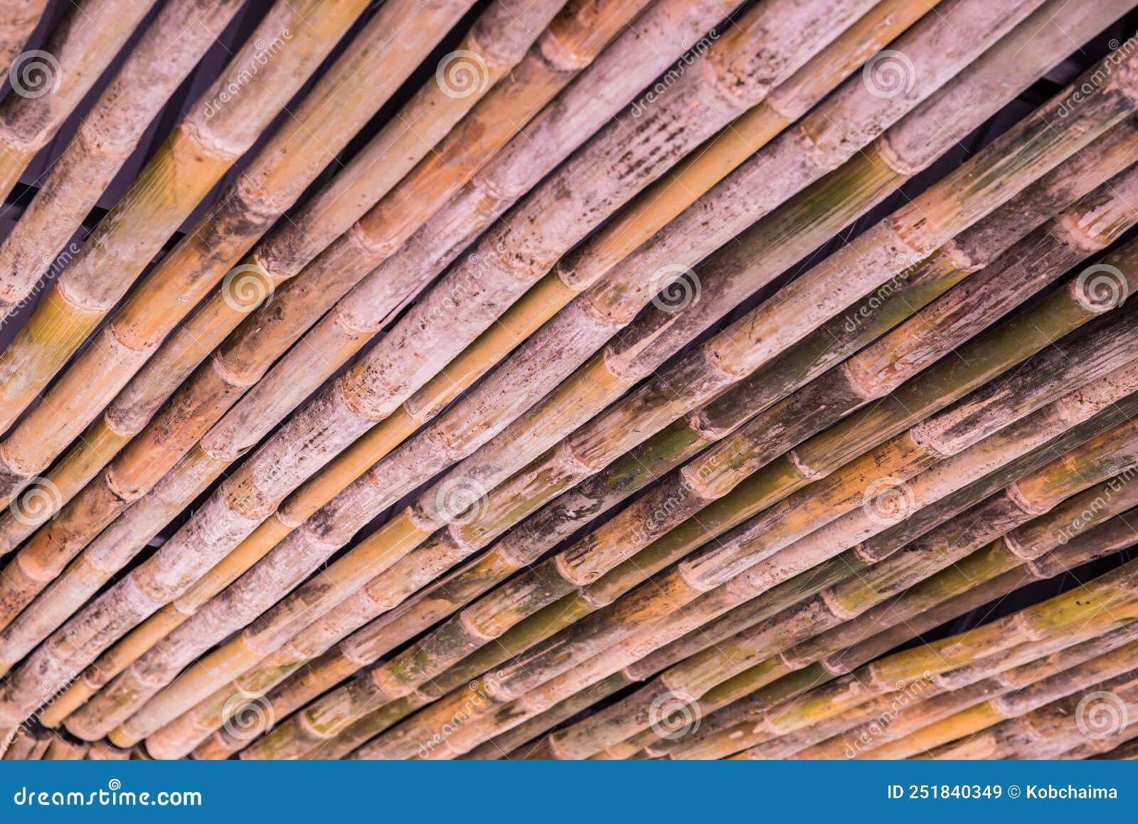 Bamboo rods for decoration stock image. Image of nature - 251840349