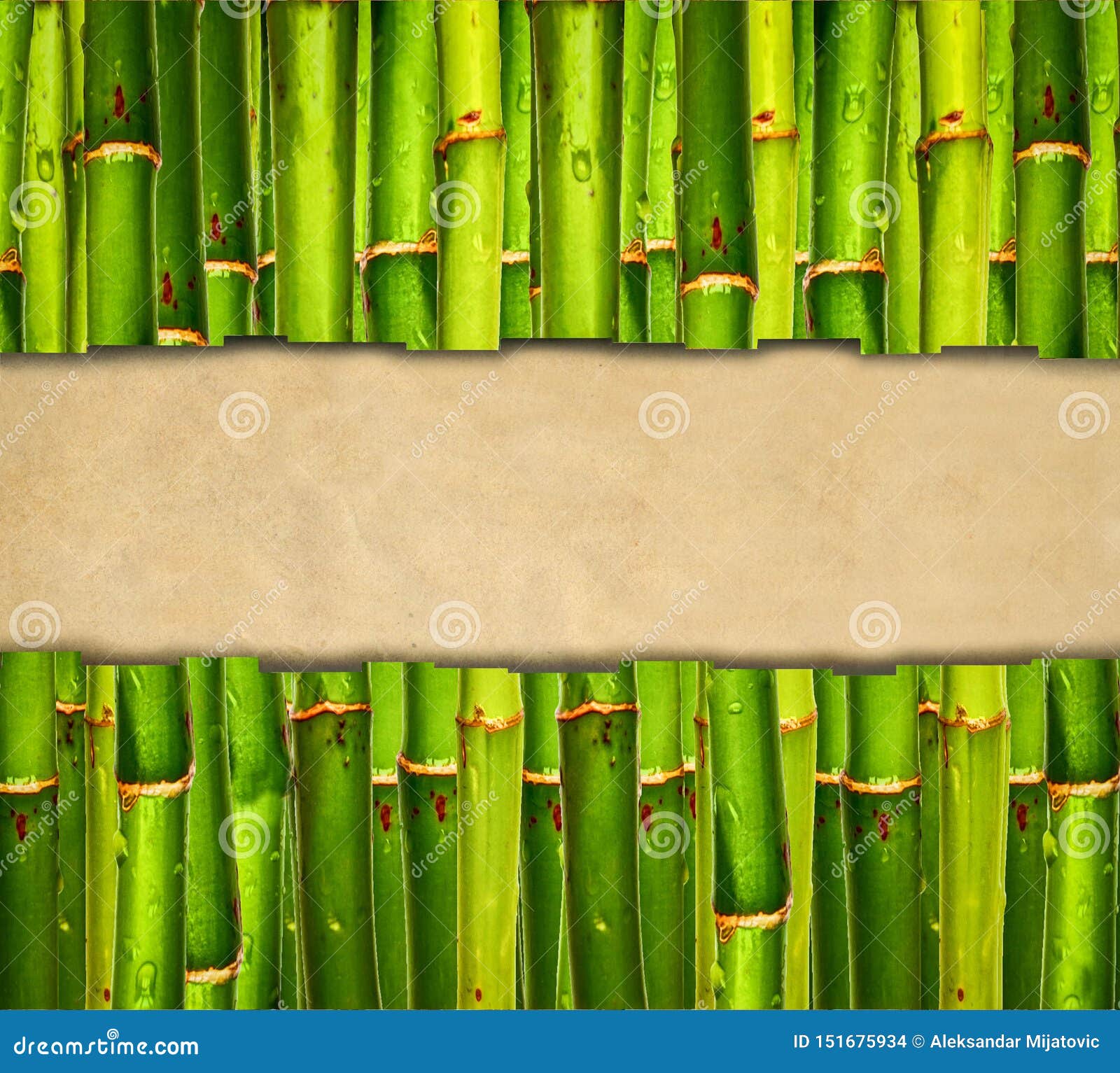 Bamboo Frame Blank Paper Stock Images - Download 295 Royalty Free Photos