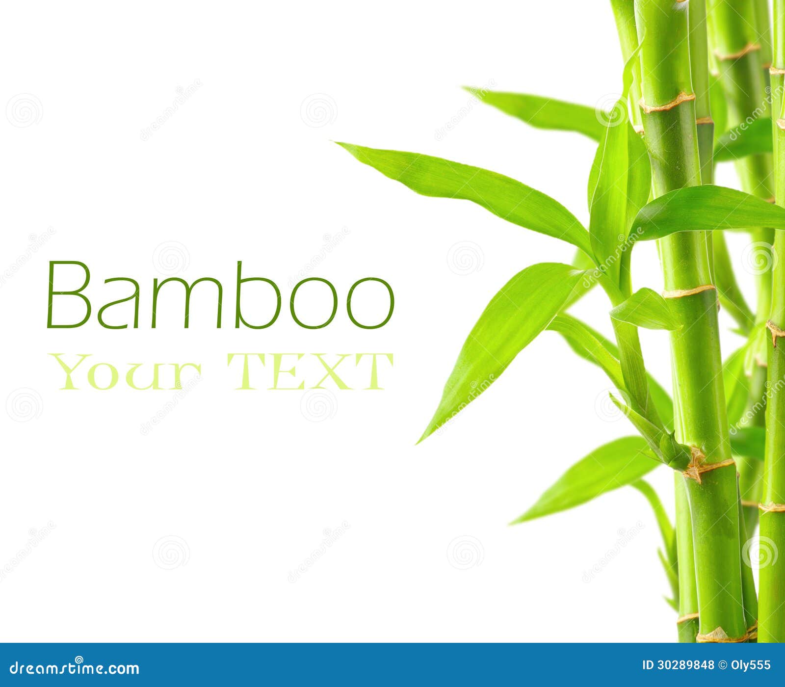 Background Of Bamboo Fresh Green Leaf On Mat Texture. Eco Background ...
