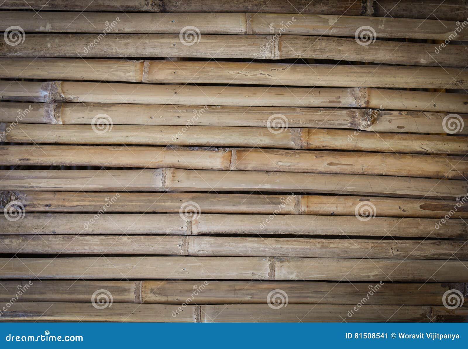 Bamboo background stock image. Image of textured, trees - 81508541