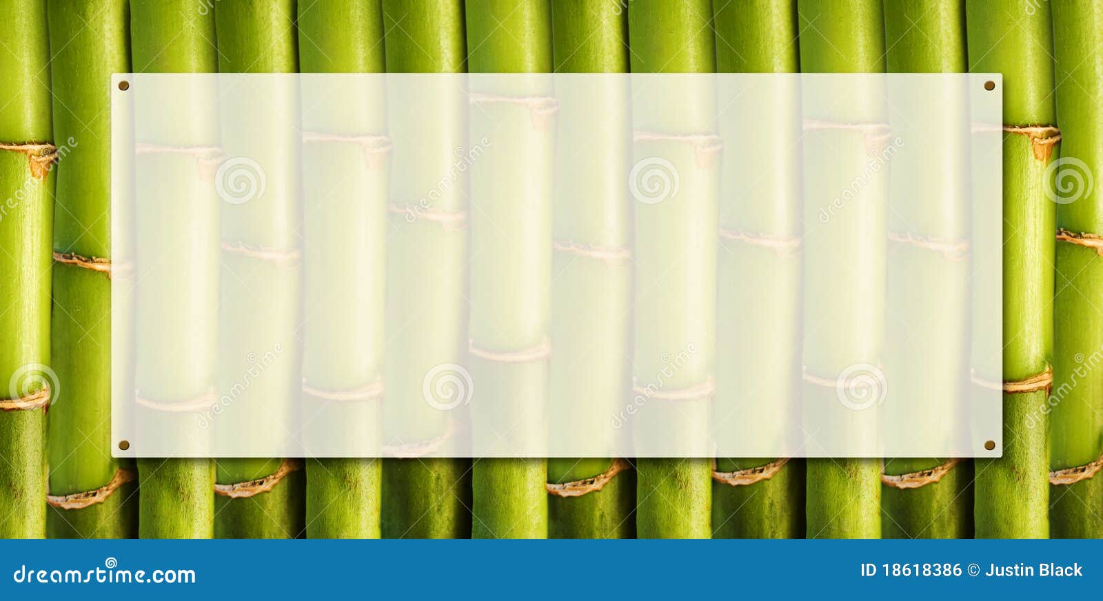 Bamboo banner stock photo. Image of chinese, bunch, gardening - 18618386