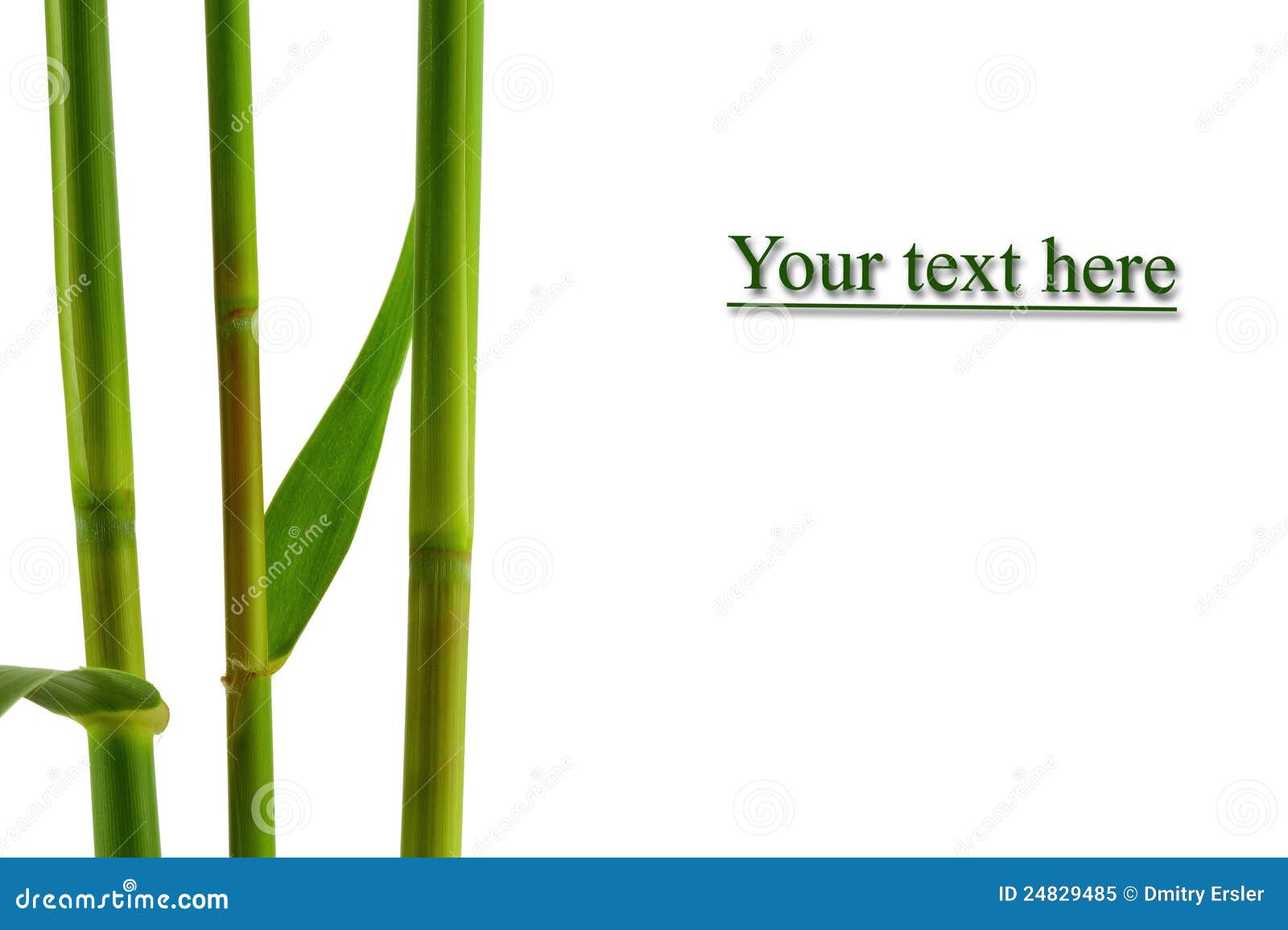 Bamboo banner stock image. Image of natural, vitality - 24829485