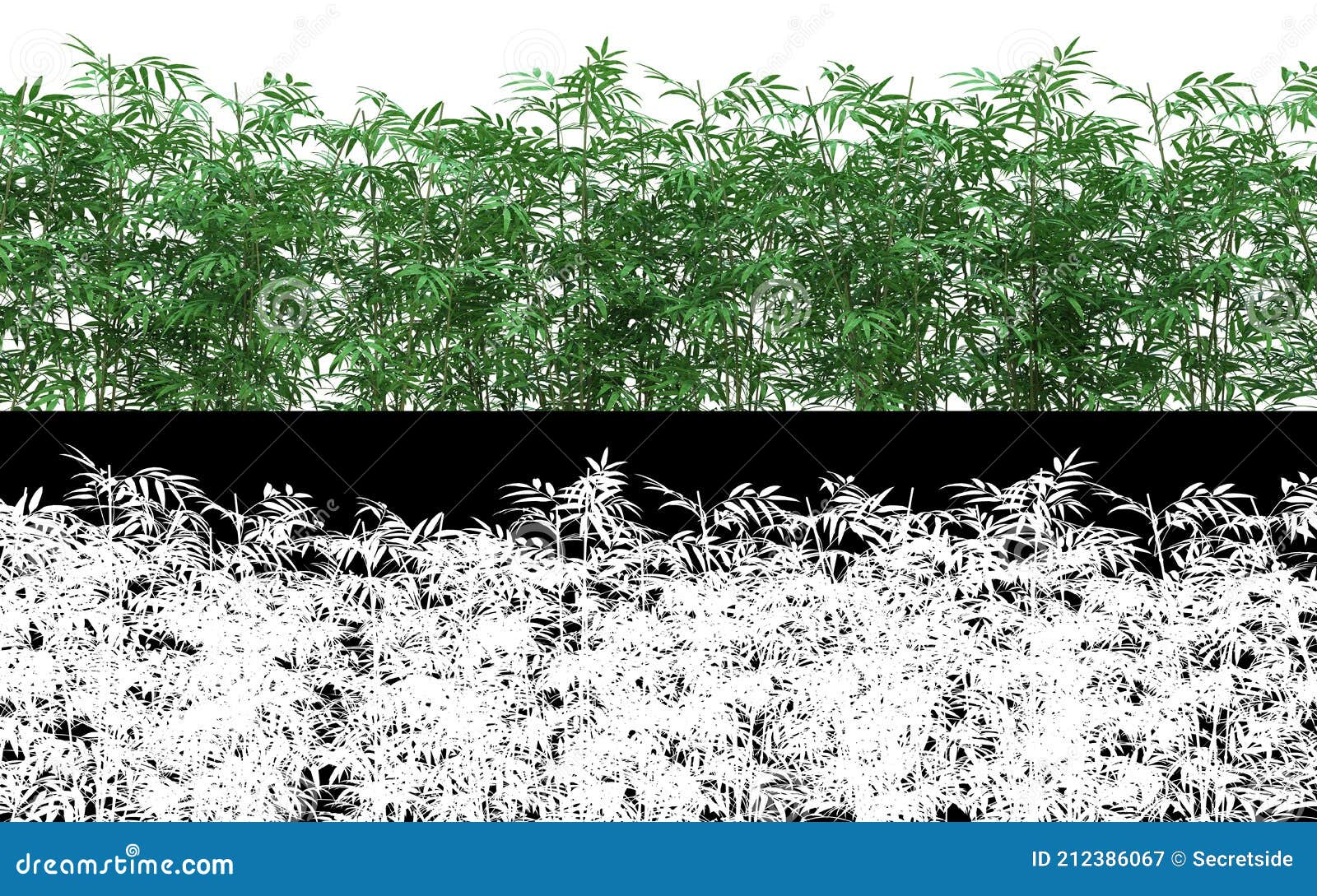 Bamboo Banner with Alpha Channel Stock Illustration - Illustration of ...