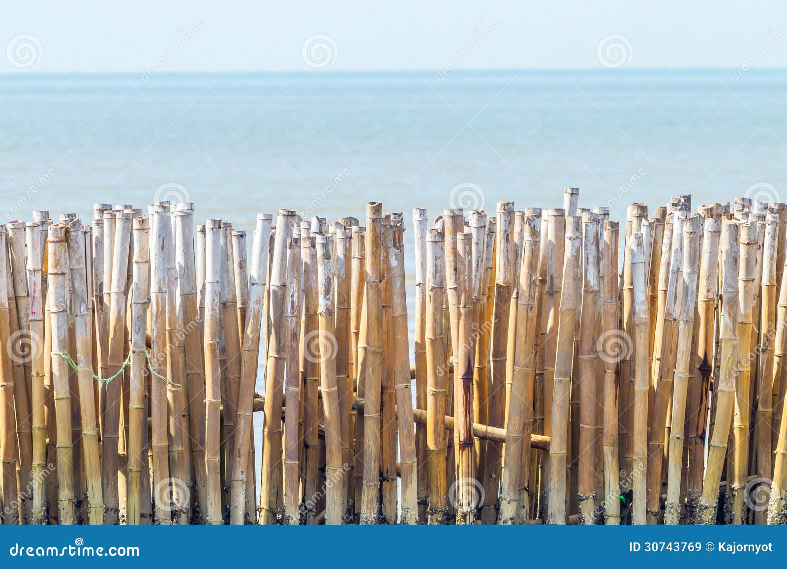 Bamboo barrier stock image. Image of composition, fence - 30743769