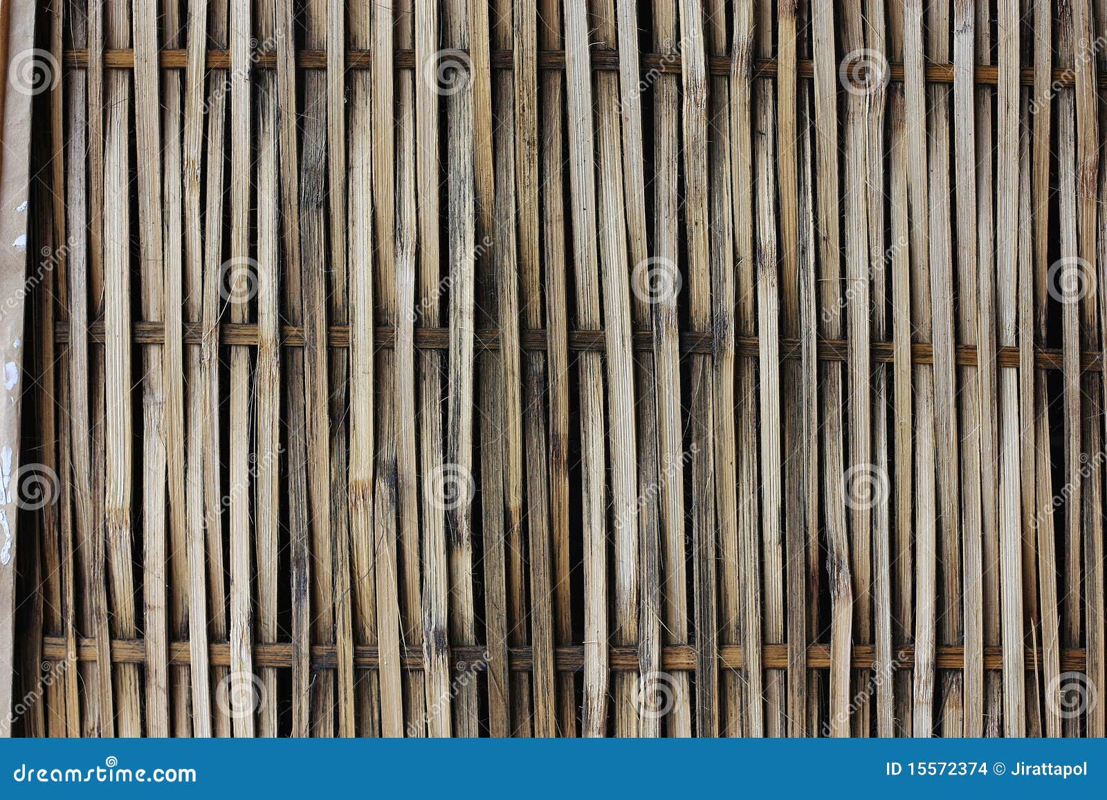 Bamboo battens stock photo. Image of bamboo, floors, wall - 15572374