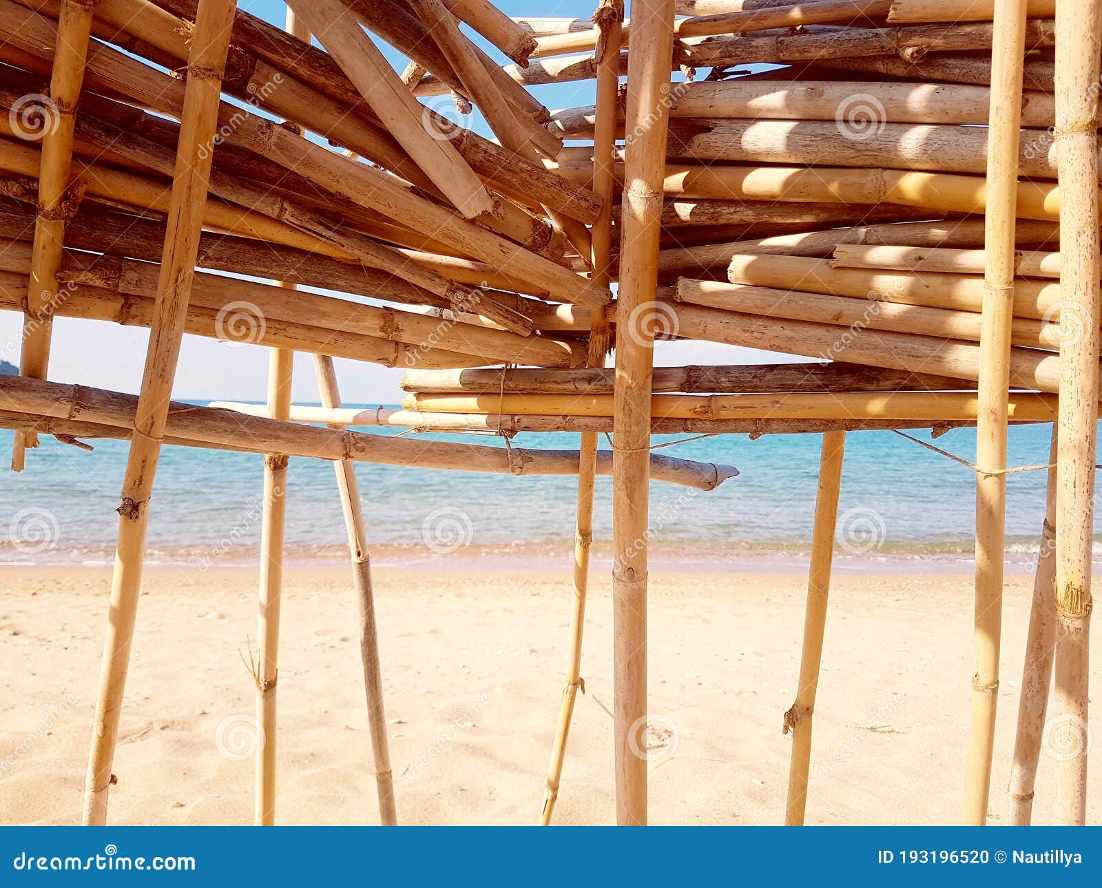 Bamboo on the beach stock photo. Image of blue, beach - 193196520