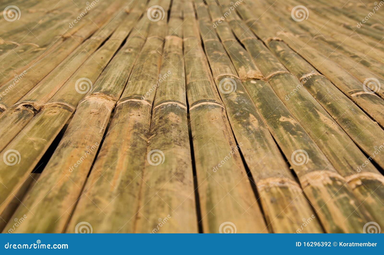 Bamboo bed stock photo. Image of manufacturing, bamboo - 16296392