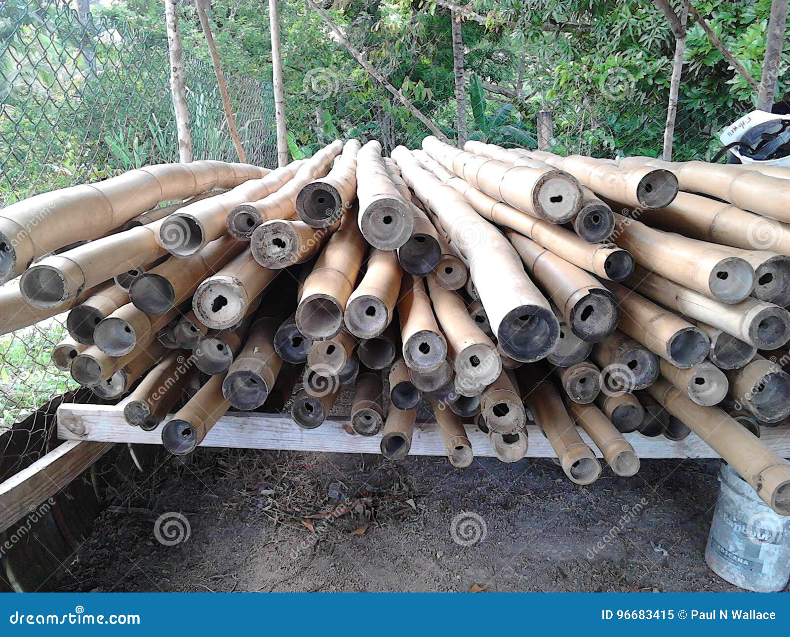 Bamboo Being Treated for Building Construction. Stock Image - Image of ...