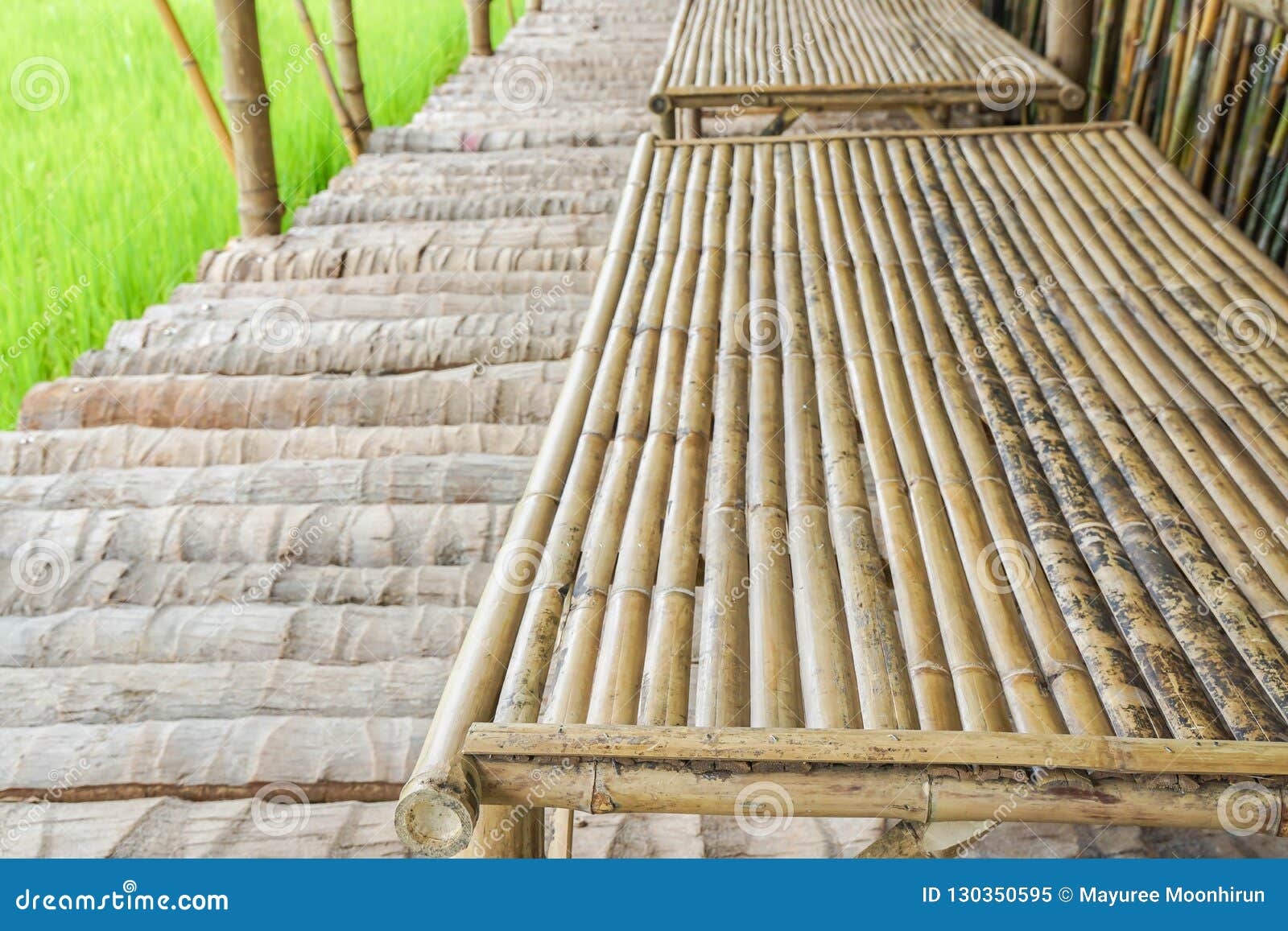 Bamboo Bench at Green Rice Field for Farmer Rest Stock Image - Image of ...