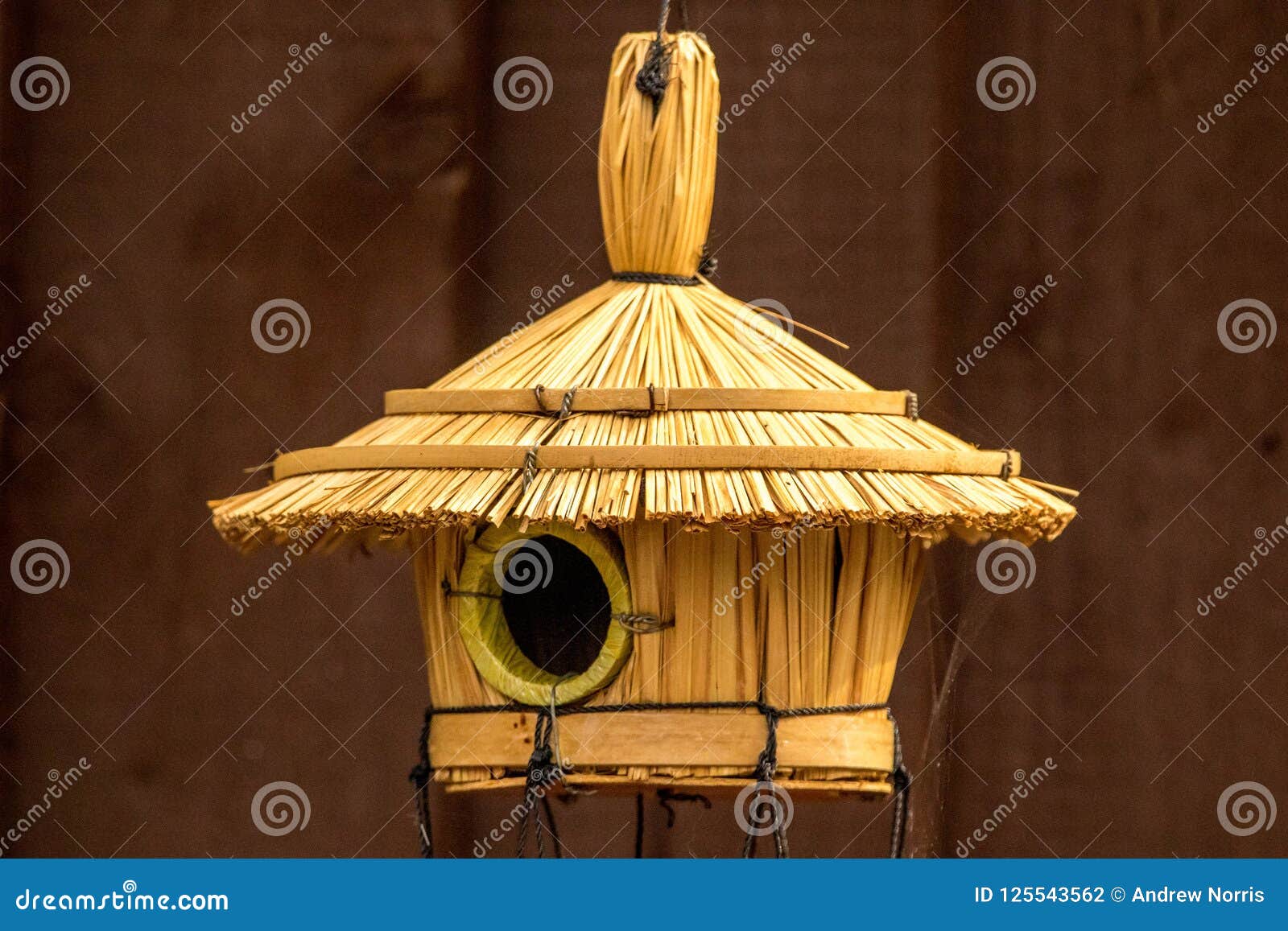 Bird Hut stock photo. Image of wind, hole, fence, bird - 125543562