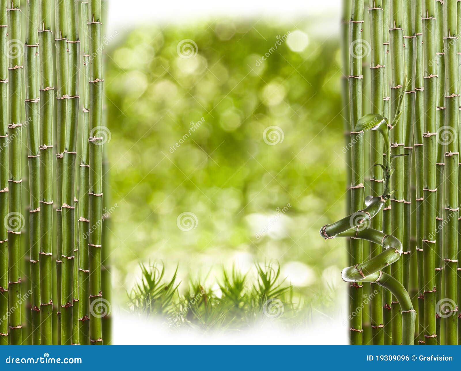Bamboo Border stock photo. Image of green, fengshui, leaf - 19309096