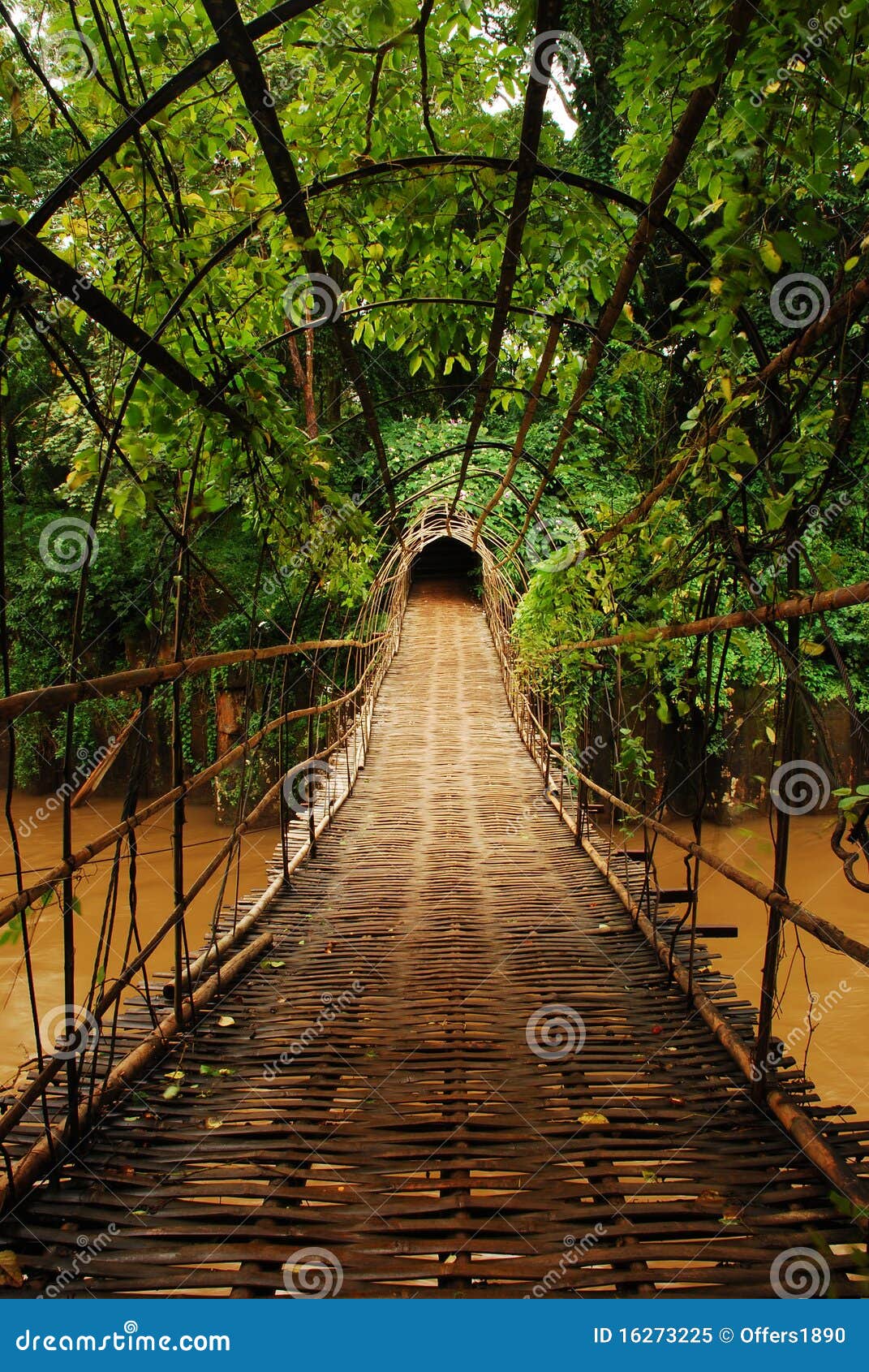Bamboo bridge stock image. Image of landscape, riverside - 16273225