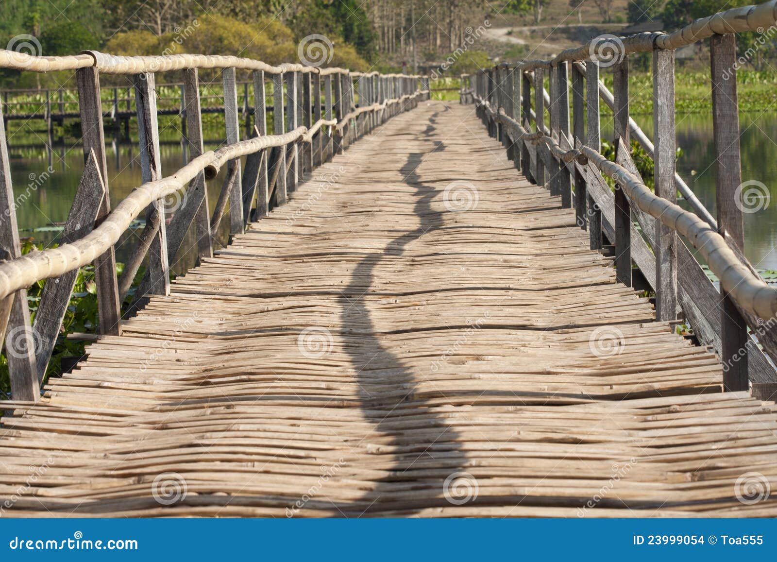 Bamboo bridge stock photo. Image of environment, travel - 23999054