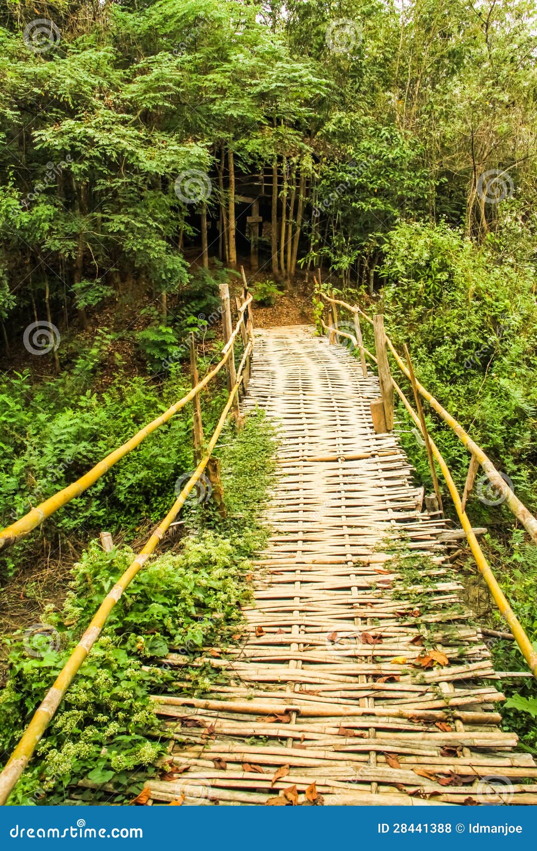 Bamboo bridge stock photo. Image of nature, land, leaf - 28441388