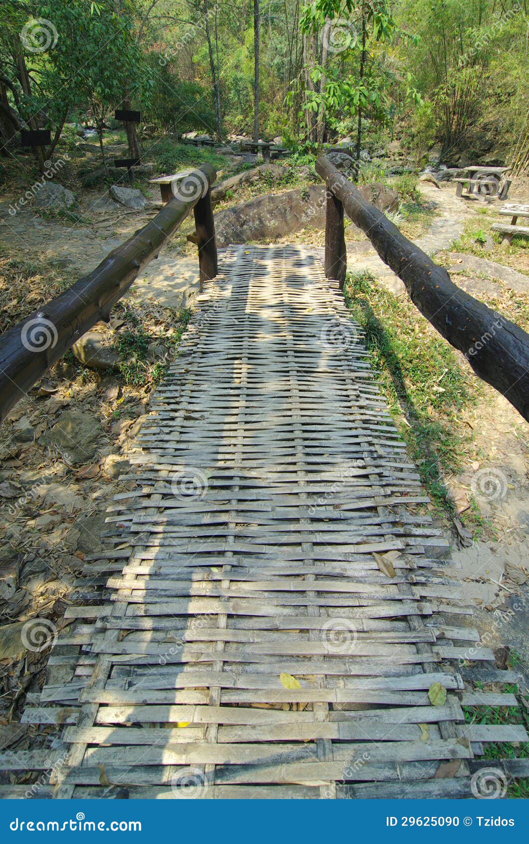 Bamboo bridge stock photo. Image of hanging, green, suspension - 29625090