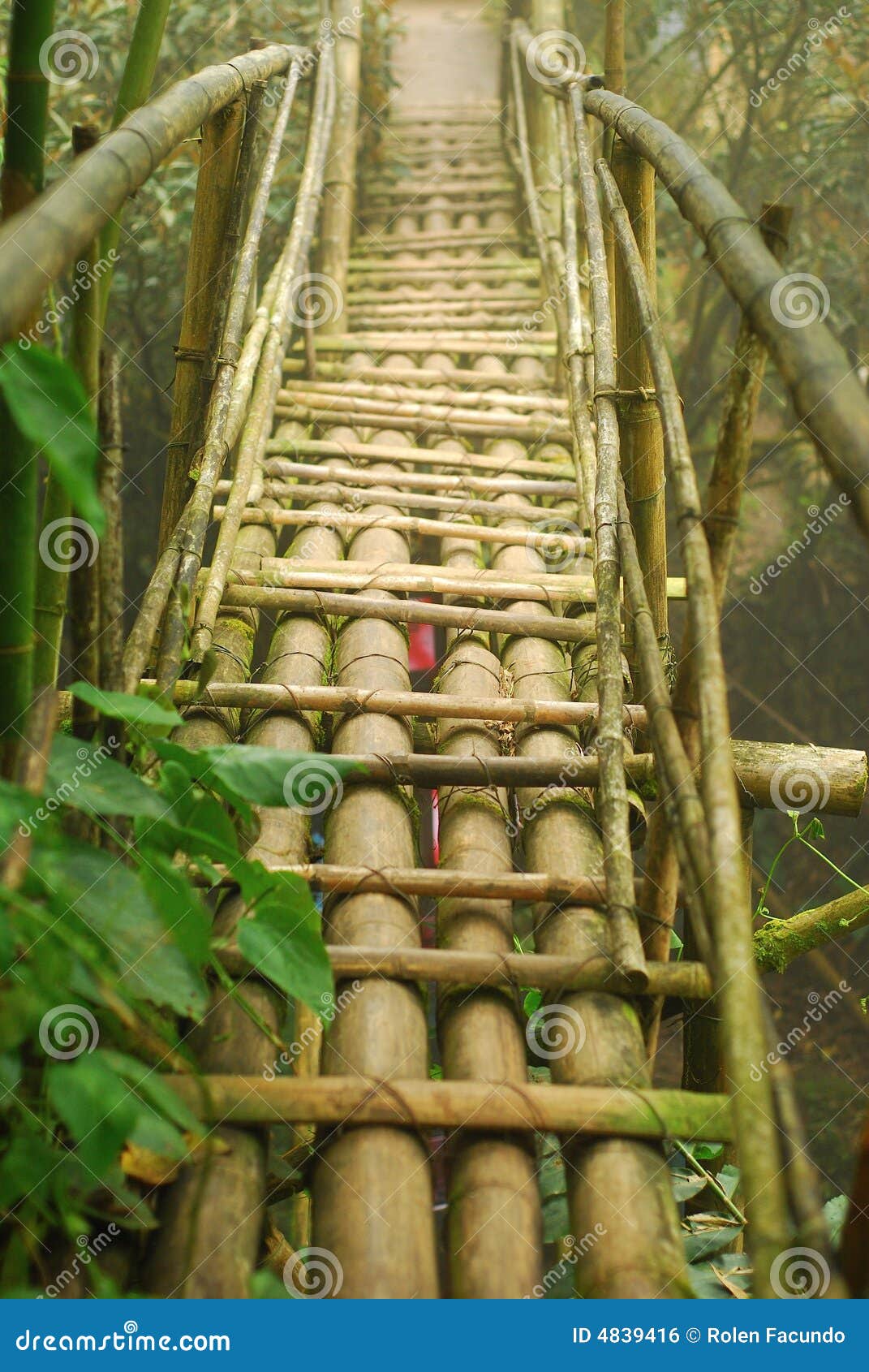 Bamboo Bridge In The Jungle Royalty-Free Stock Photo | CartoonDealer ...