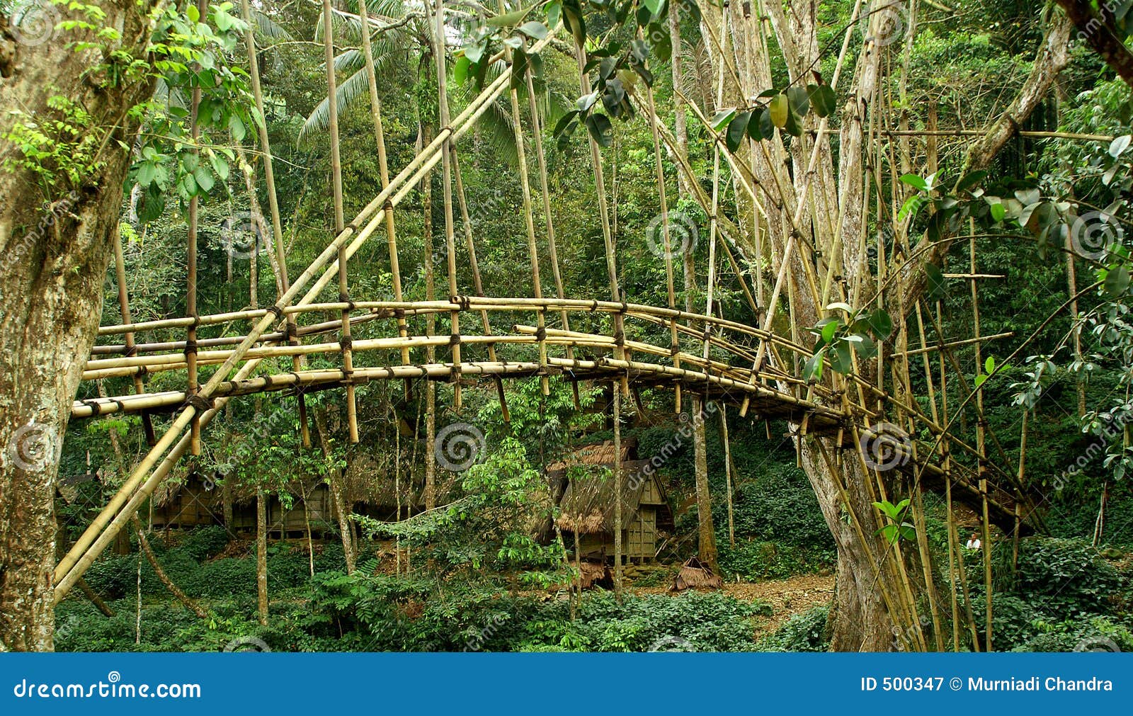 Bamboo Bridge stock image. Image of yellow, connection - 500347
