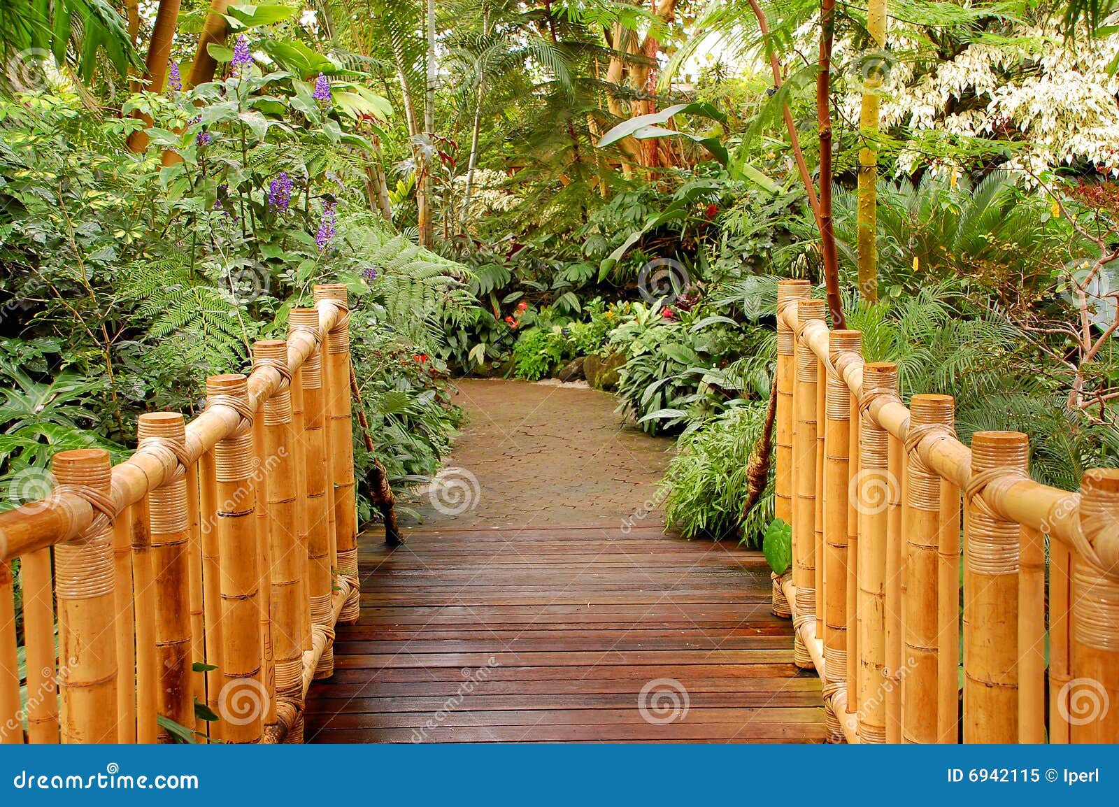 Bamboo Bridge In The Jungle Royalty-Free Stock Photo | CartoonDealer ...
