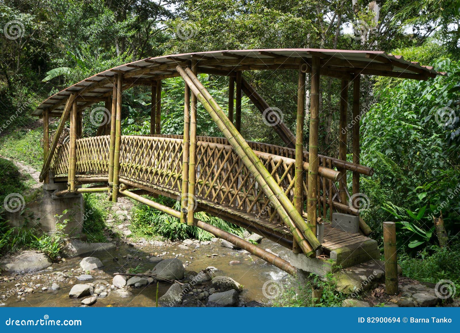 Bamboo bridge stock photo. Image of colombia, structure - 82900694
