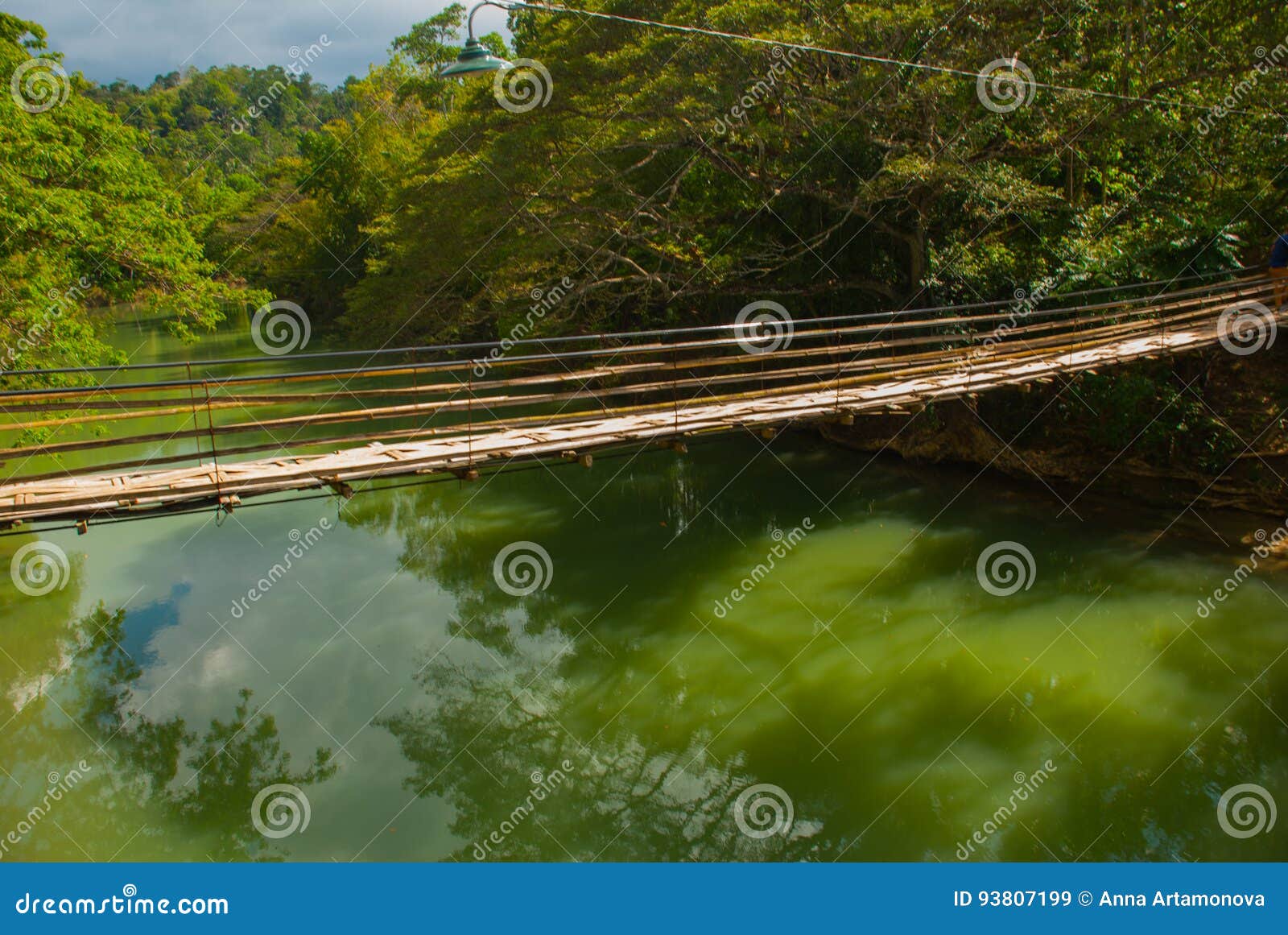 Bamboo Bridge - Bohol - Philippines Stock Image - Image of beautiful ...