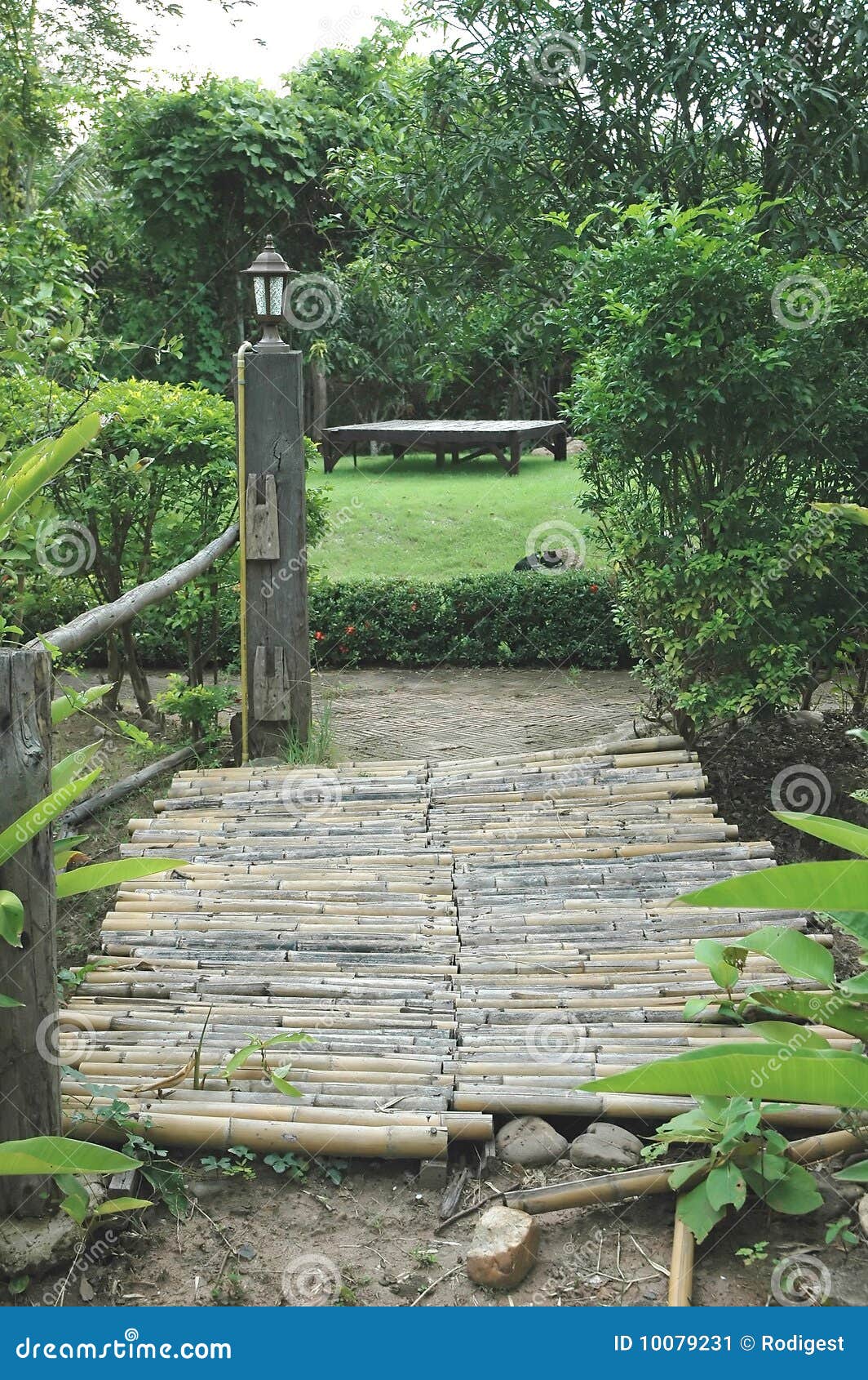 Bamboo Bridge Cool Garden stock image. Image of good - 10079231