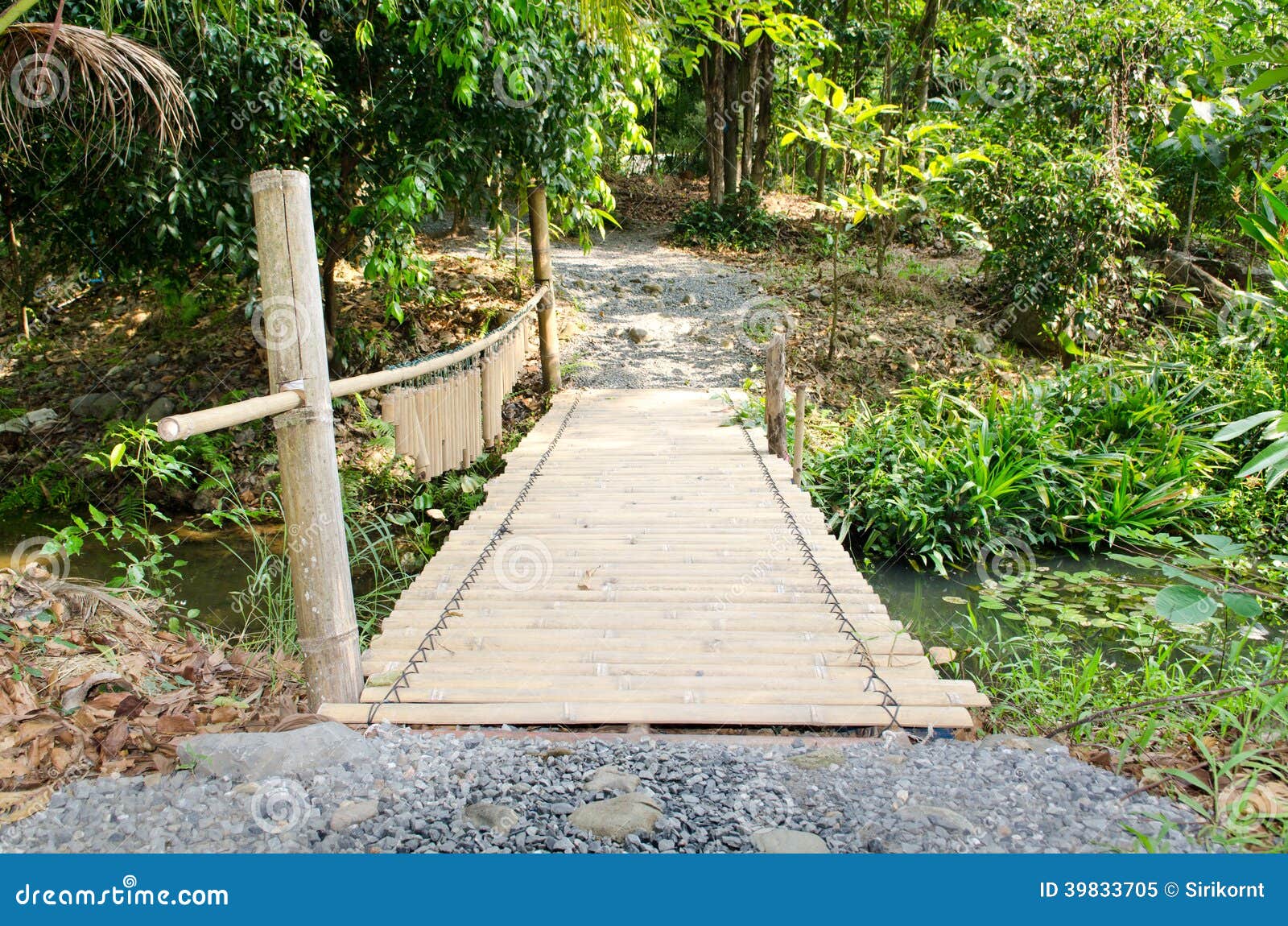 Bamboo Bridge in Countryside Stock Image - Image of land, beauty: 39833705