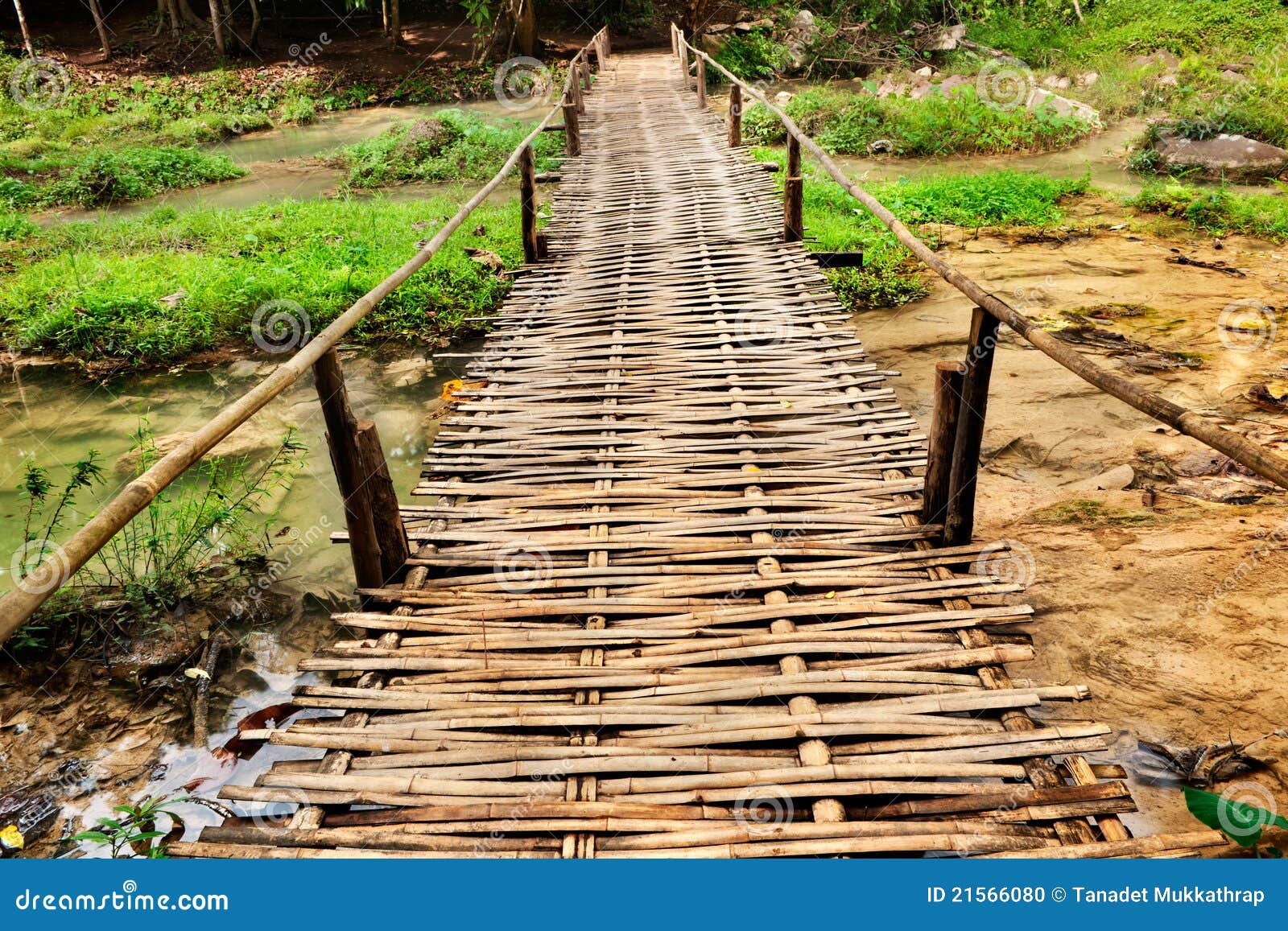 Bamboo Bridge Crossing Stream Stock Photo - Image of pathway, crossing ...