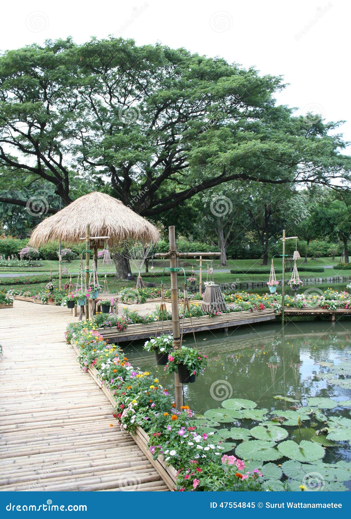 Bamboo bridge with flower stock image. Image of grass - 47554845