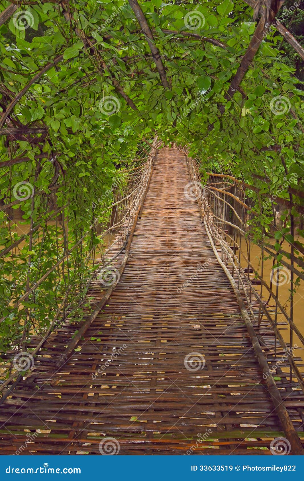 Bamboo bridge stock image. Image of nature, architecture - 33633519