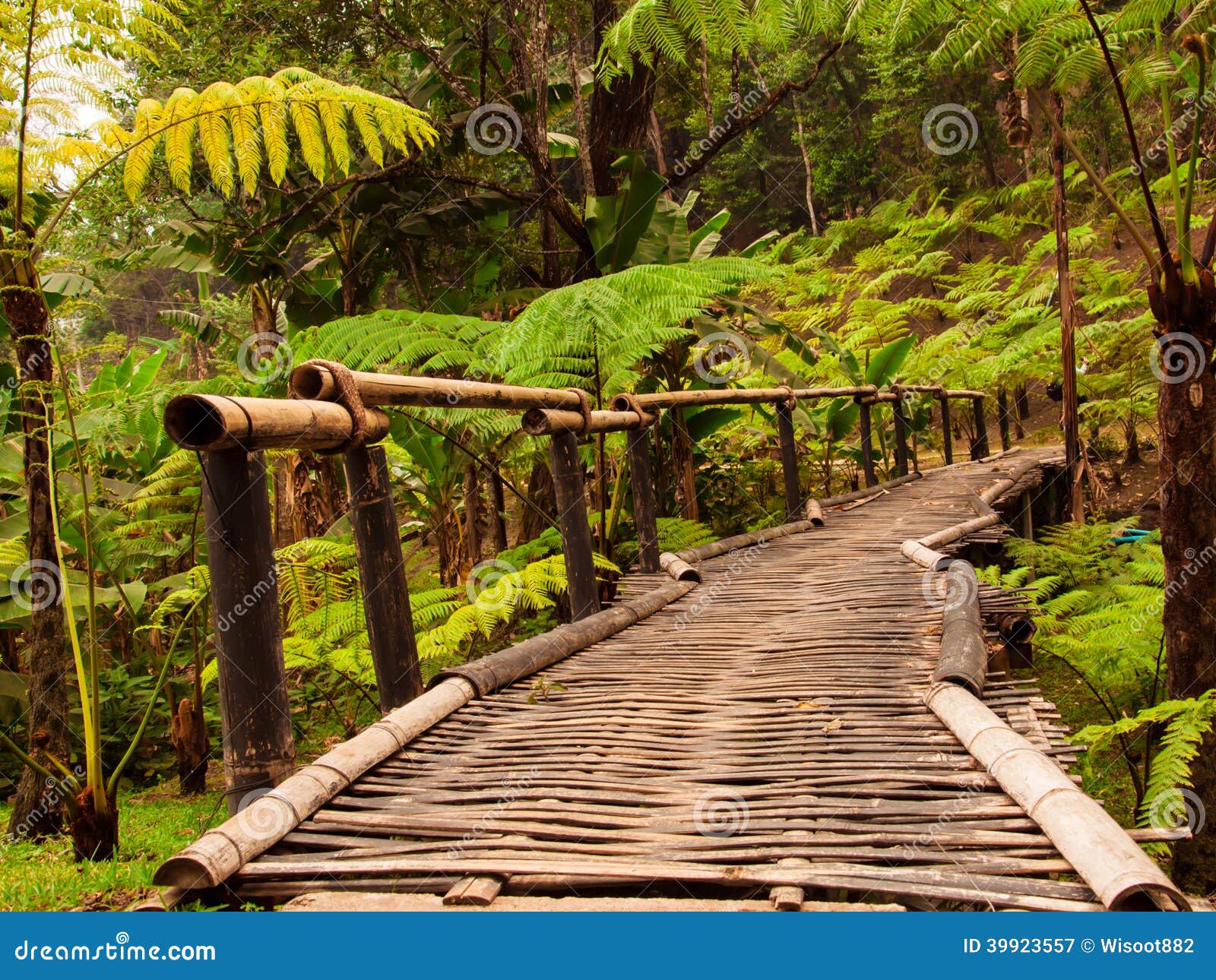 Bamboo bridge stock image. Image of cross, forest, structurelocal ...