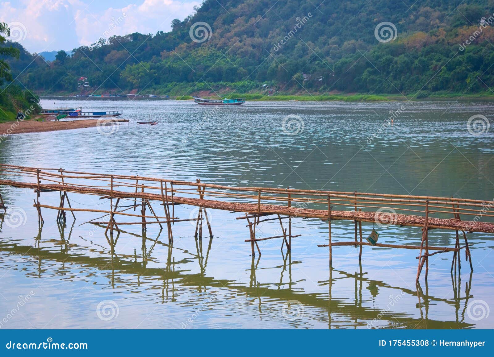 Bamboo Bridge Over Nam Khan River In The Confluence With Mekong River