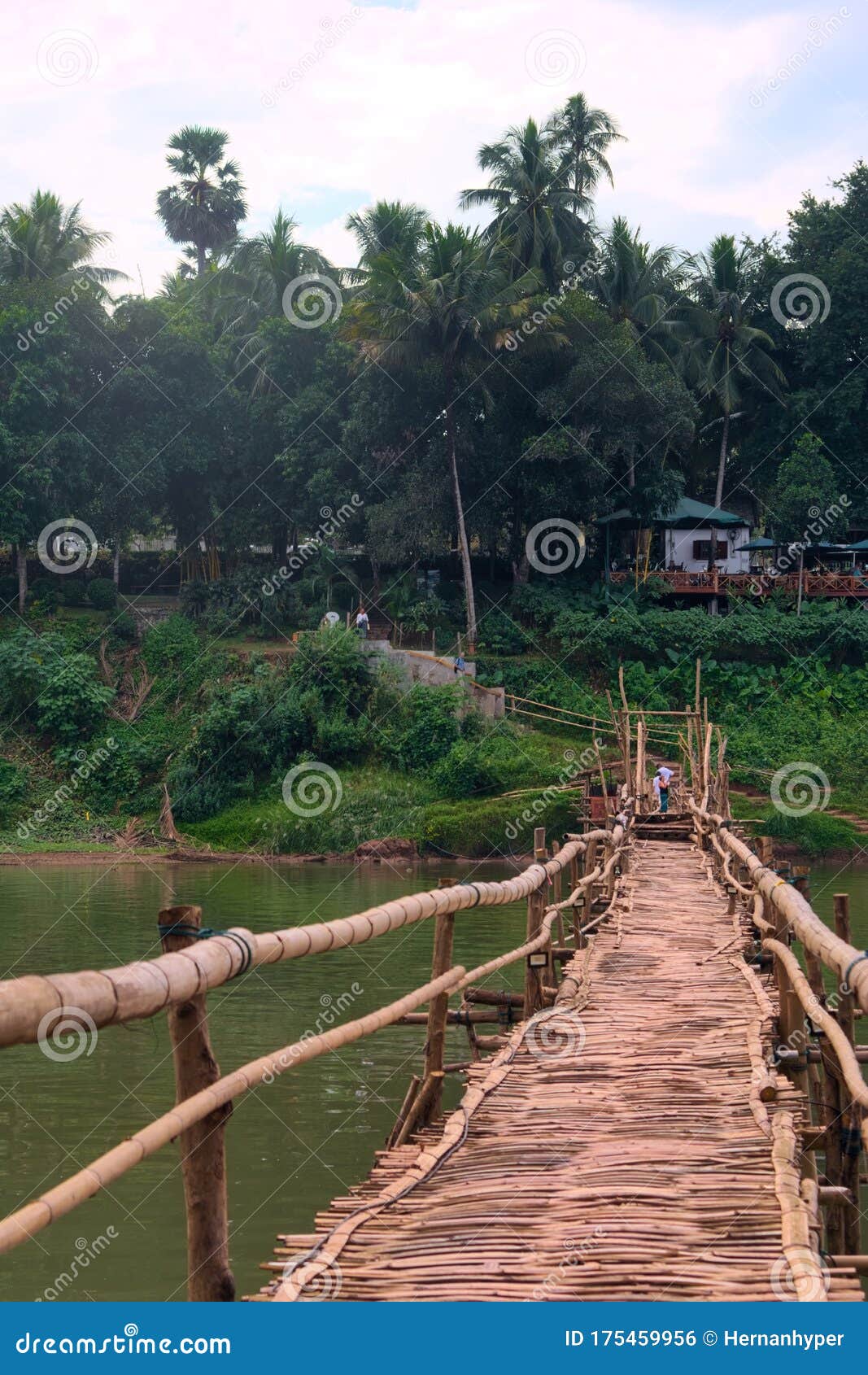 Bamboo Bridge Over Nam Khan River In The Confluence With Mekong River