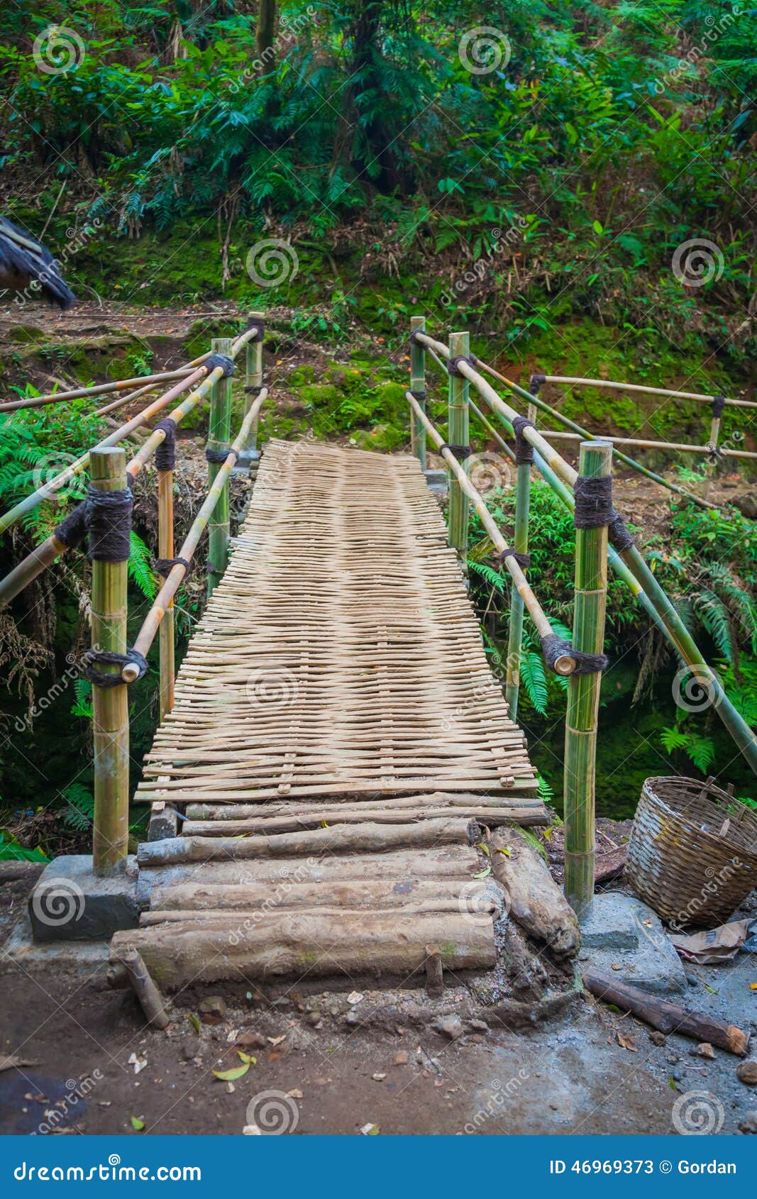 The Bamboo Bridge in Rain Forrest Stock Image - Image of cliff, nature ...