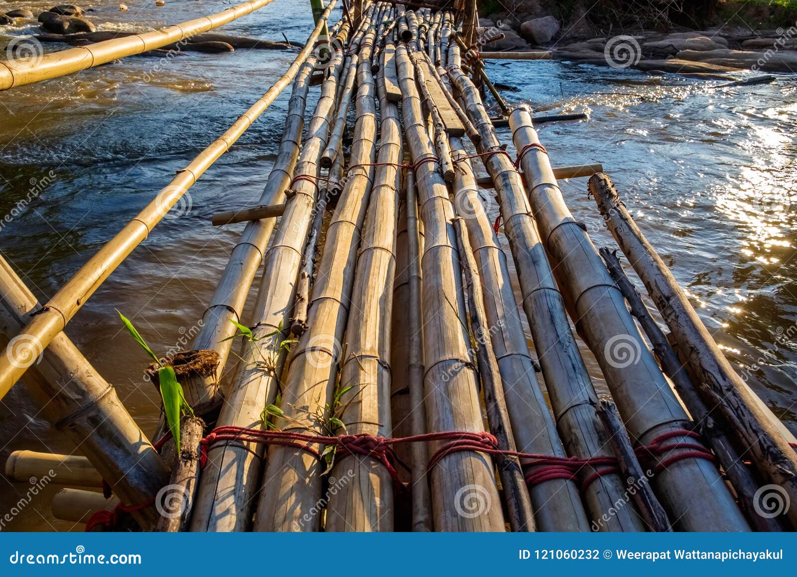 Bamboo Bridge on River stock photo. Image of nature - 121060232
