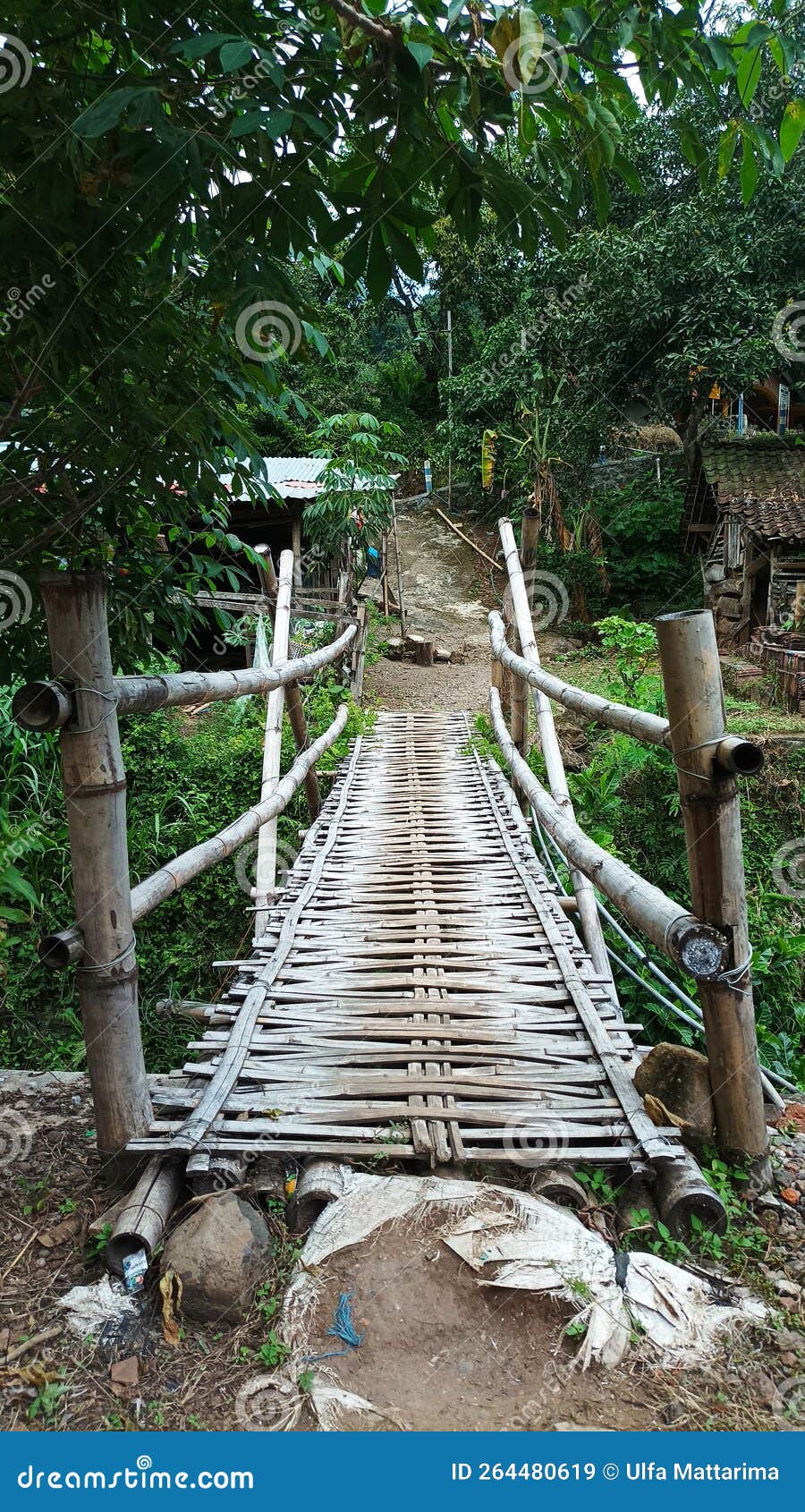Bamboo Bridge at Small Village Stock Image - Image of bamboo, forest ...