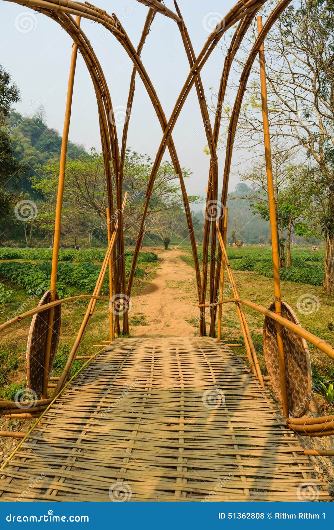 Bamboo bridge stock photo. Image of danger, elevated - 51362808